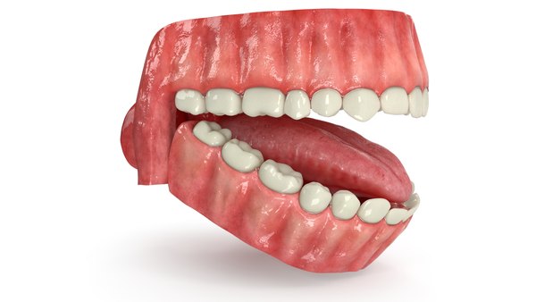 modelo 3d Plataforma de Boca Humana Realista Maya - TurboSquid 1899542