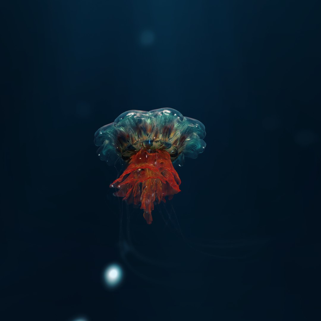 3D jellyfish animate model - TurboSquid 2016086