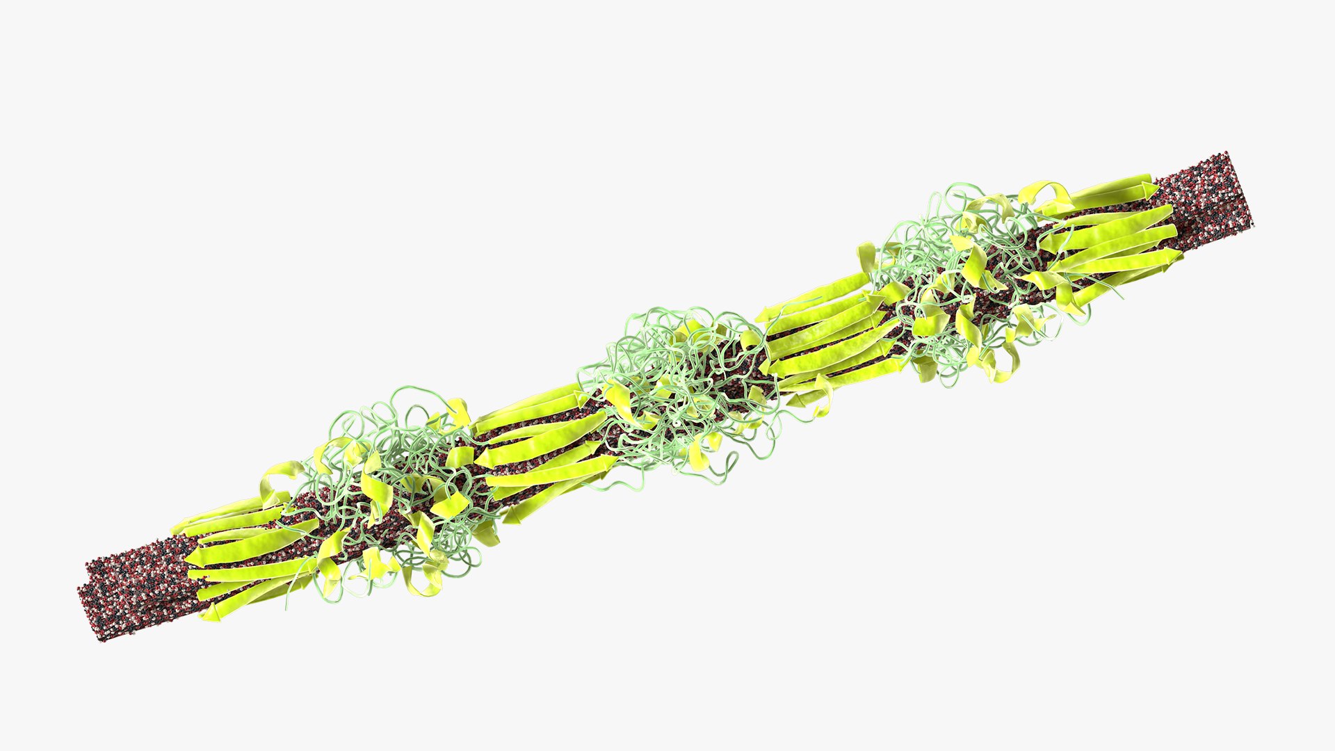 Spider silk structure 3D - TurboSquid 2099512