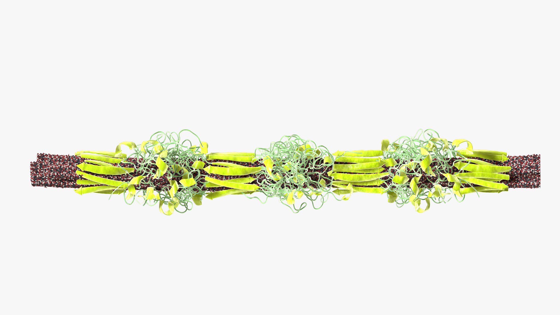 Spider silk structure 3D - TurboSquid 2099512