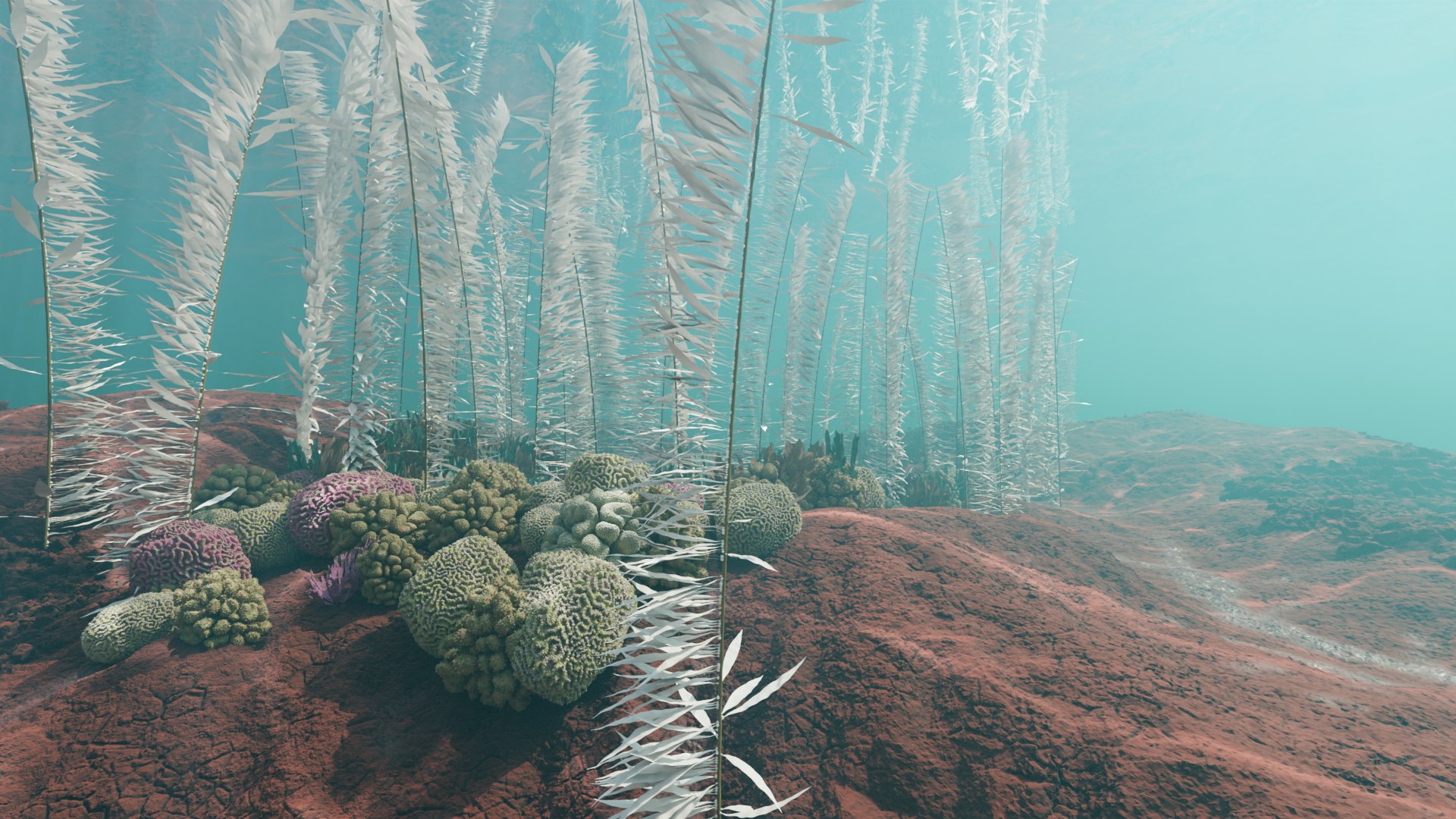 3D Under Water Scene Seabed Model - TurboSquid 2125715