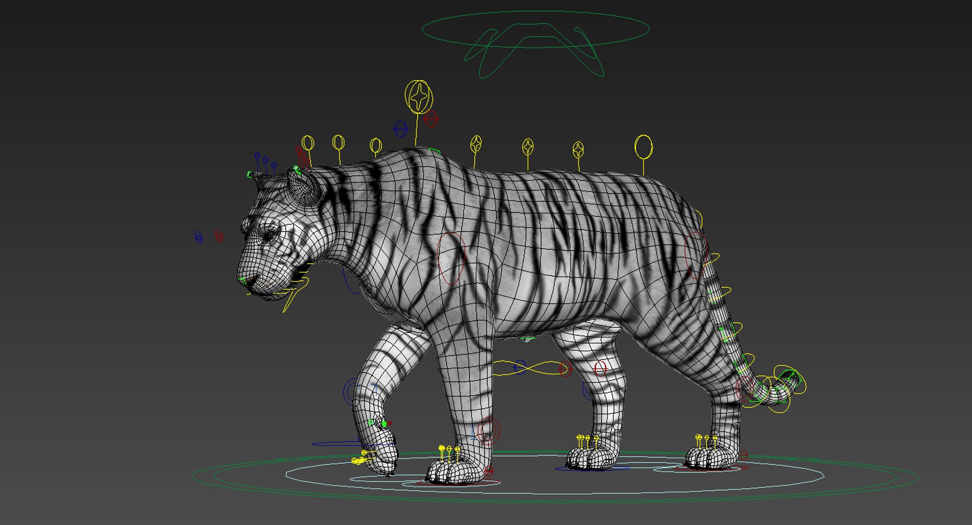 White Tiger Fur Rigged 3D Model - TurboSquid 1200623
