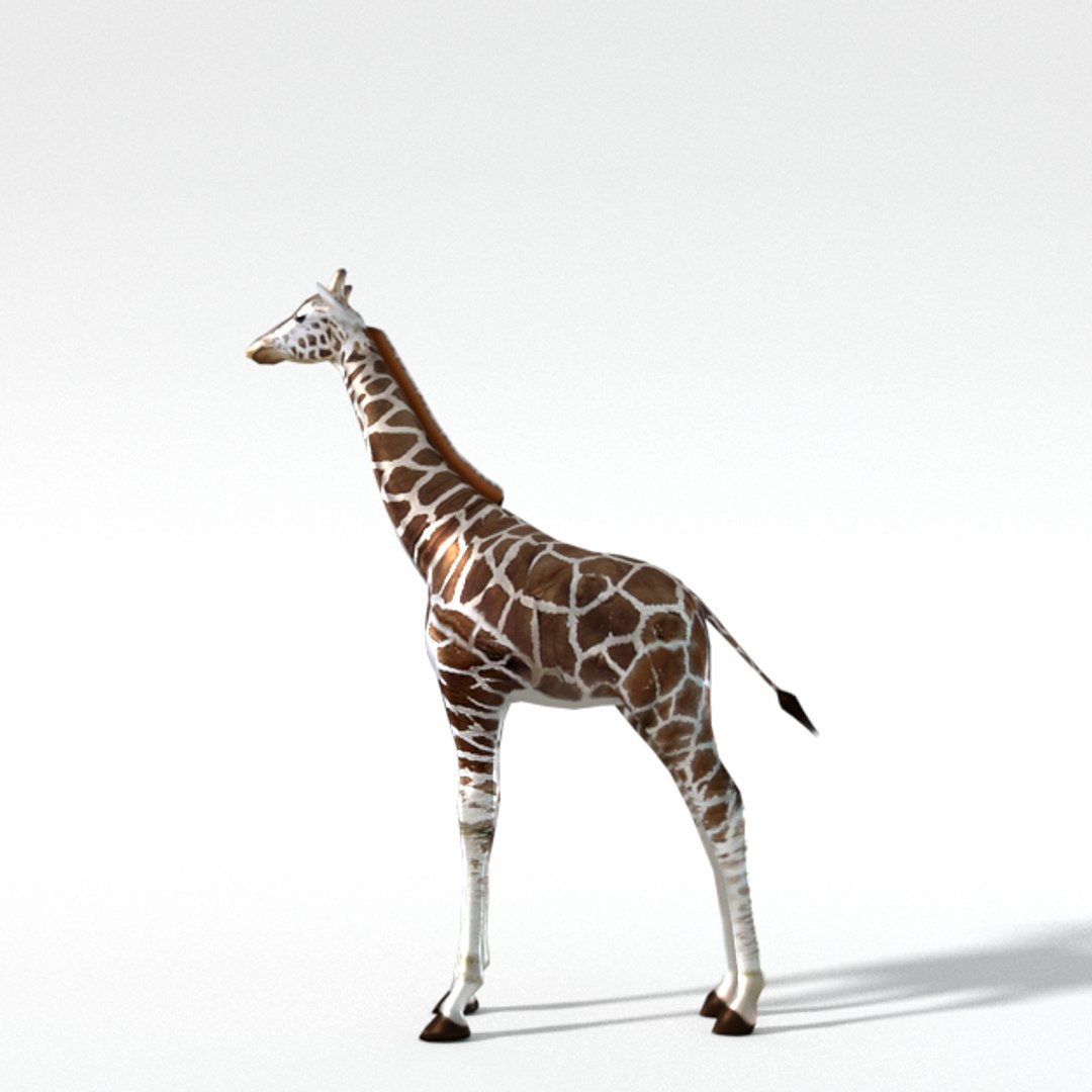 Giraffe Model - TurboSquid 1318849