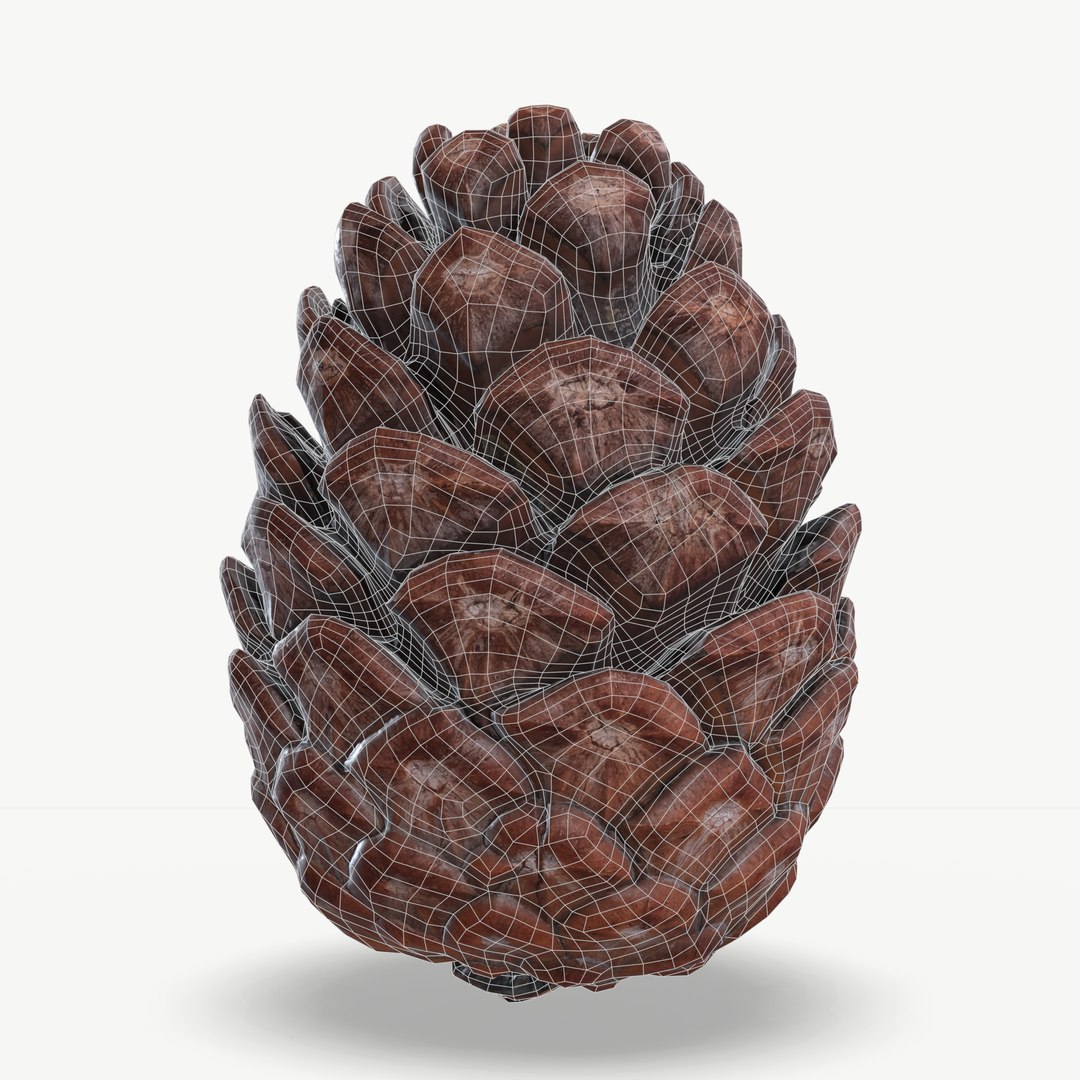 High Quality Scan Pine Cone - 1 Model - TurboSquid 2189880