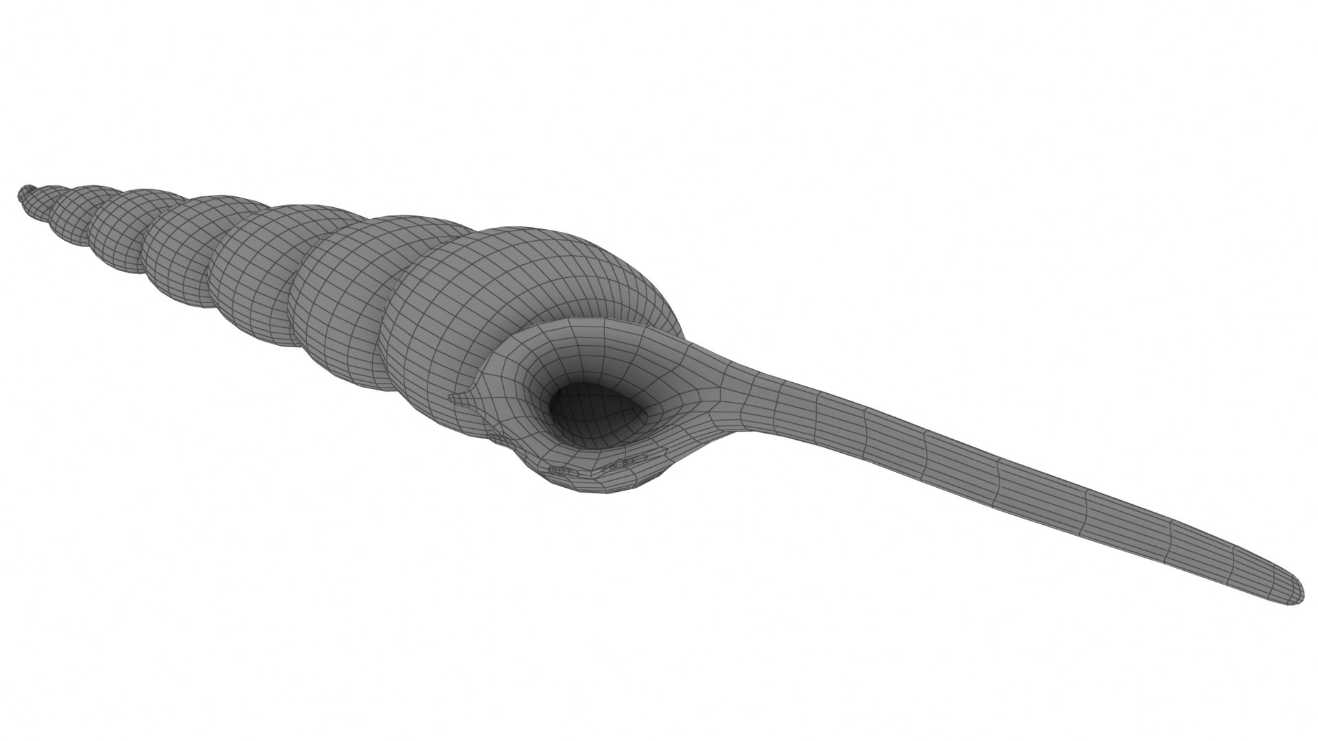 Cartoon Sea Shell 02 Model - TurboSquid 2088590