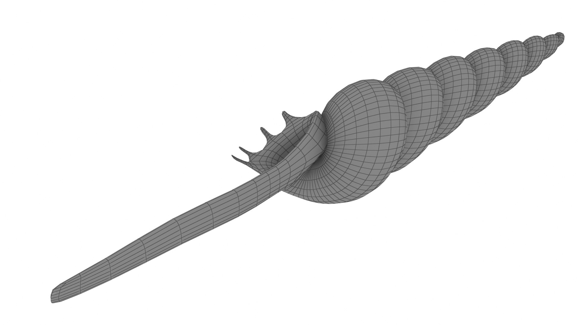 Cartoon Sea Shell 02 Model - TurboSquid 2088590