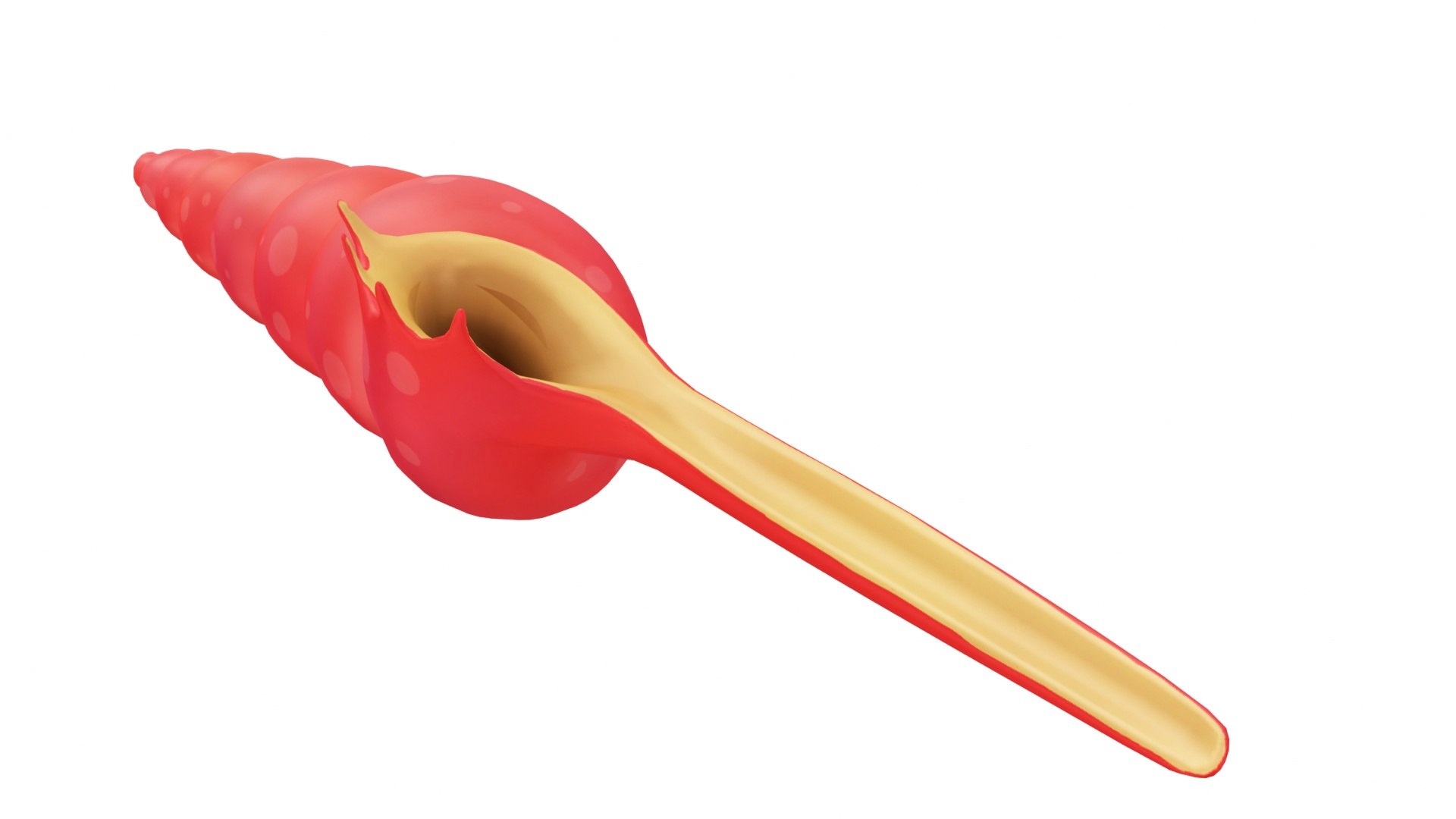 Cartoon Sea Shell 02 Model - TurboSquid 2088590