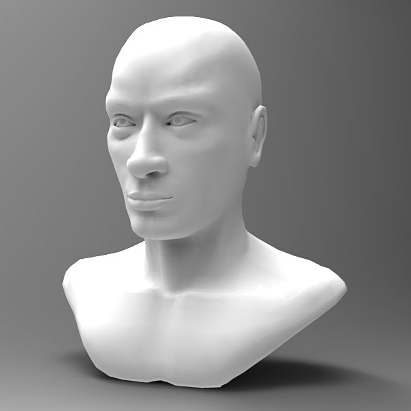 3d model human head