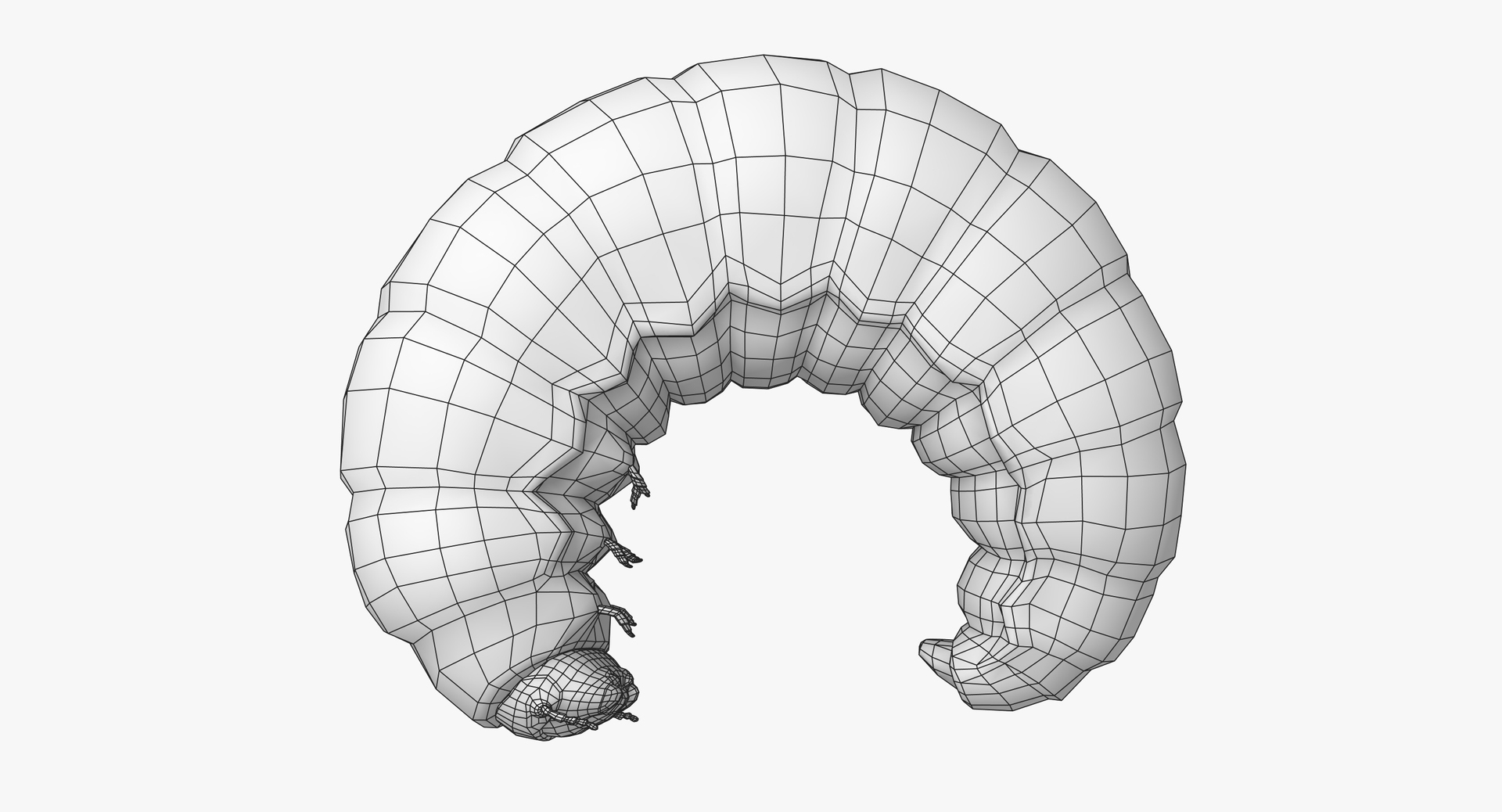 3D realistic maggot pose model - TurboSquid 1424826