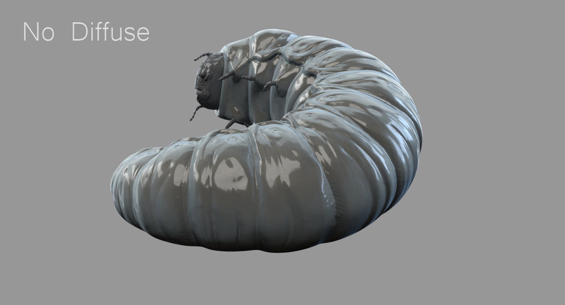 3D realistic maggot pose model - TurboSquid 1424826
