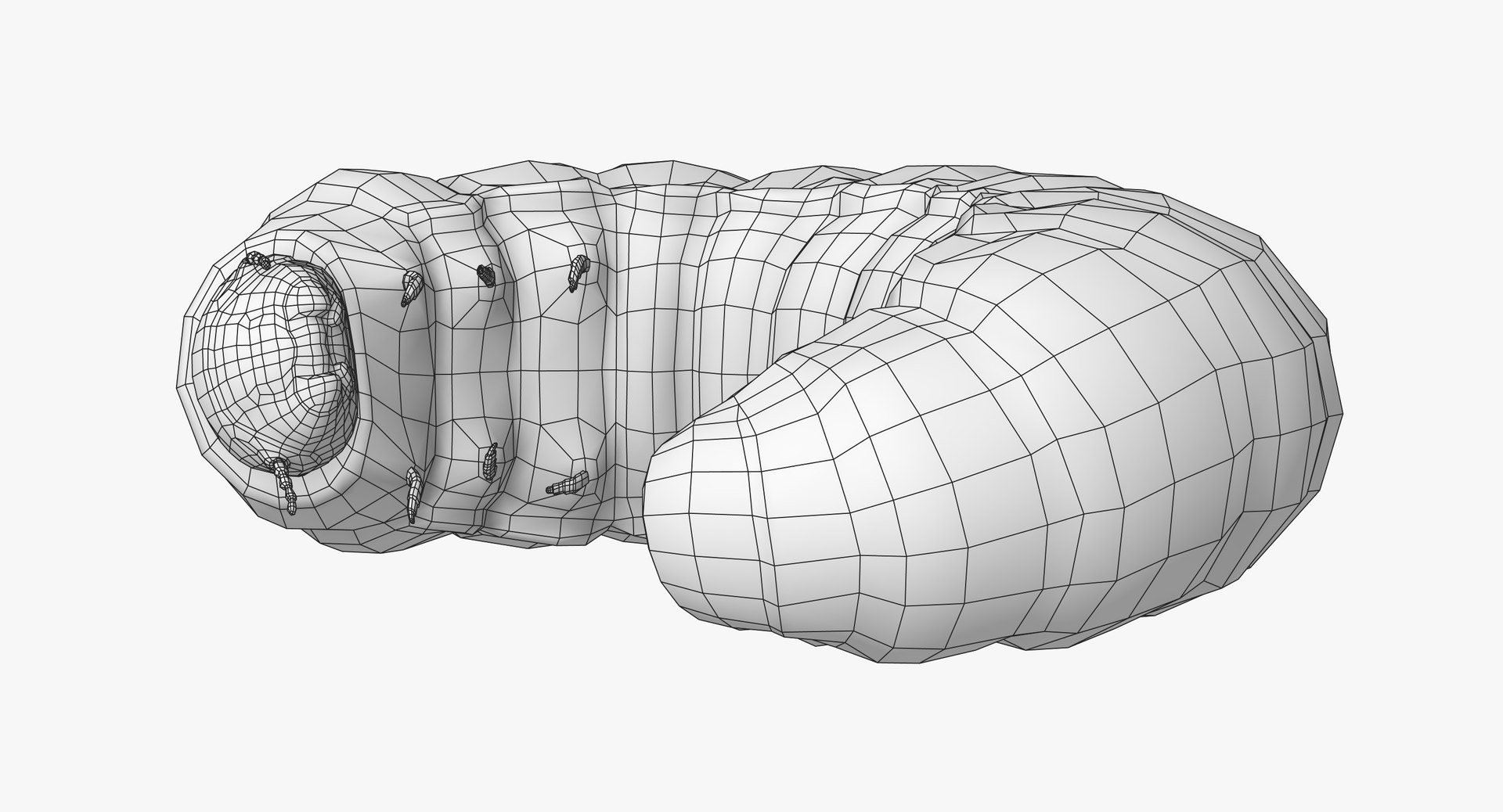 3D realistic maggot pose model - TurboSquid 1424826