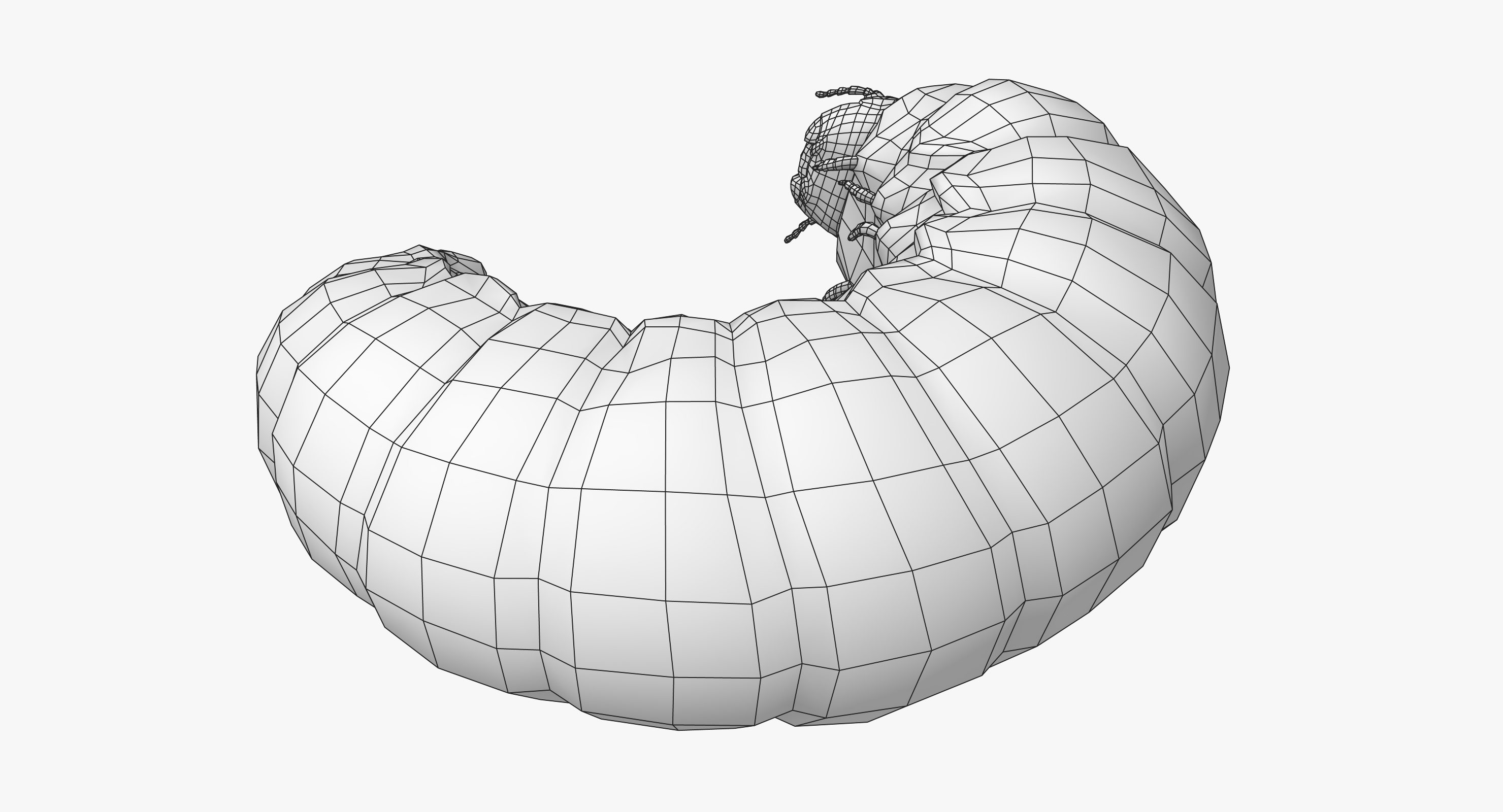3D realistic maggot pose model - TurboSquid 1424826