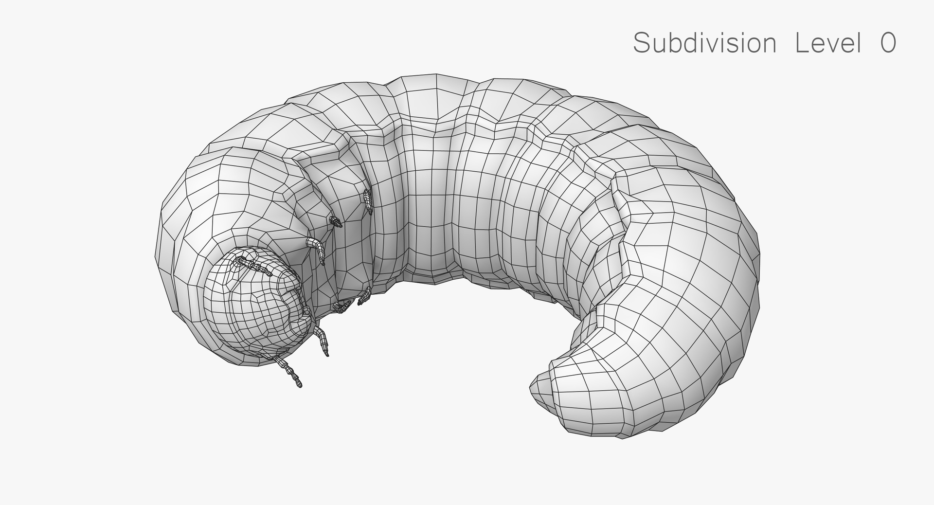 3D realistic maggot pose model - TurboSquid 1424826