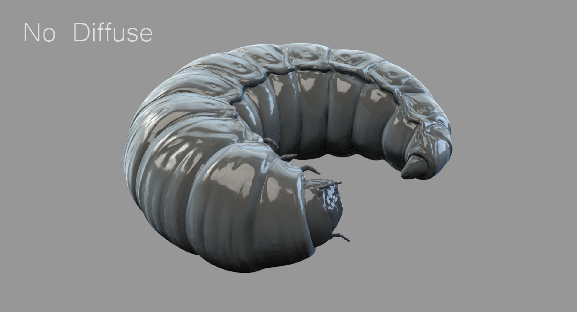 3D realistic maggot pose model - TurboSquid 1424826