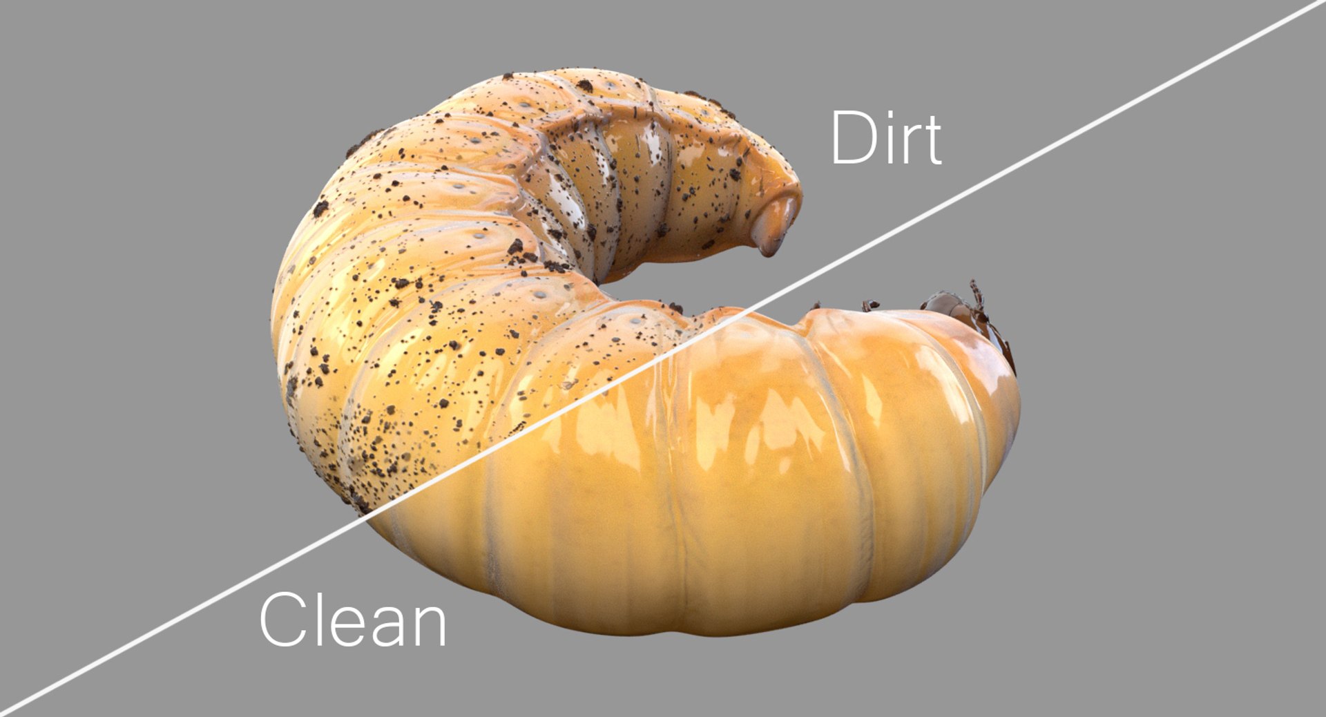 3D realistic maggot pose model - TurboSquid 1424826