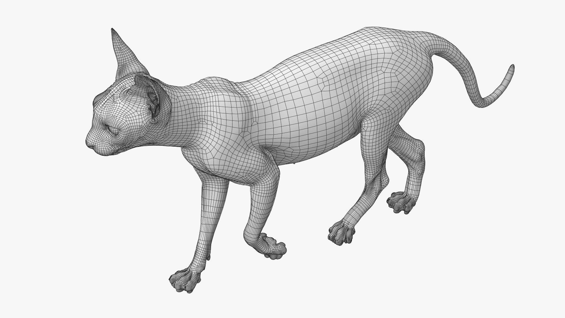 Sphynx Cat Walking Pose Model - TurboSquid 1663329
