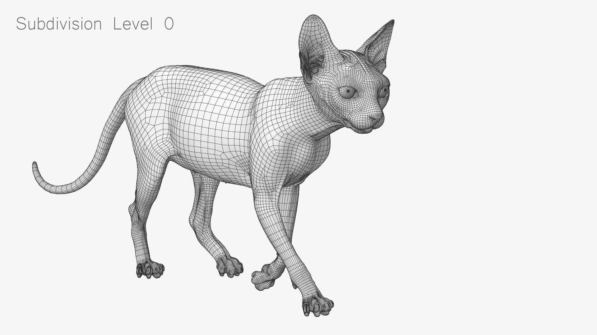 Sphynx Cat Walking Pose Model - TurboSquid 1663329