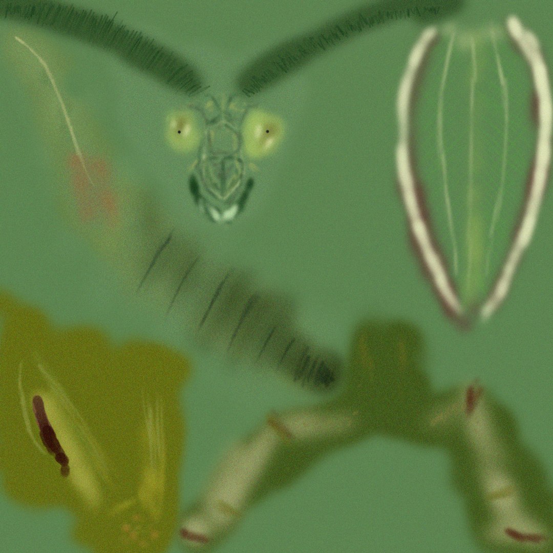 Praying Mantis 3d Max