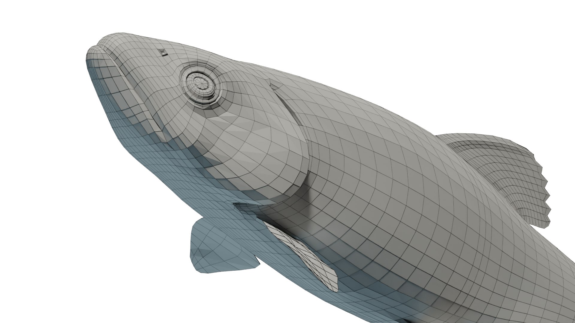 3D Brook Trout Model - TurboSquid 1929289