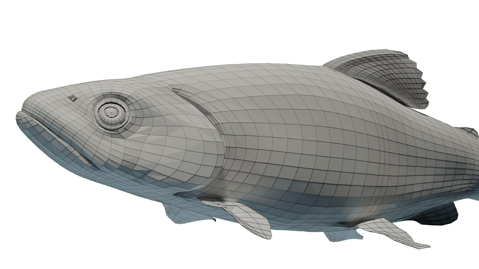 3D Brook Trout Model - TurboSquid 1929289