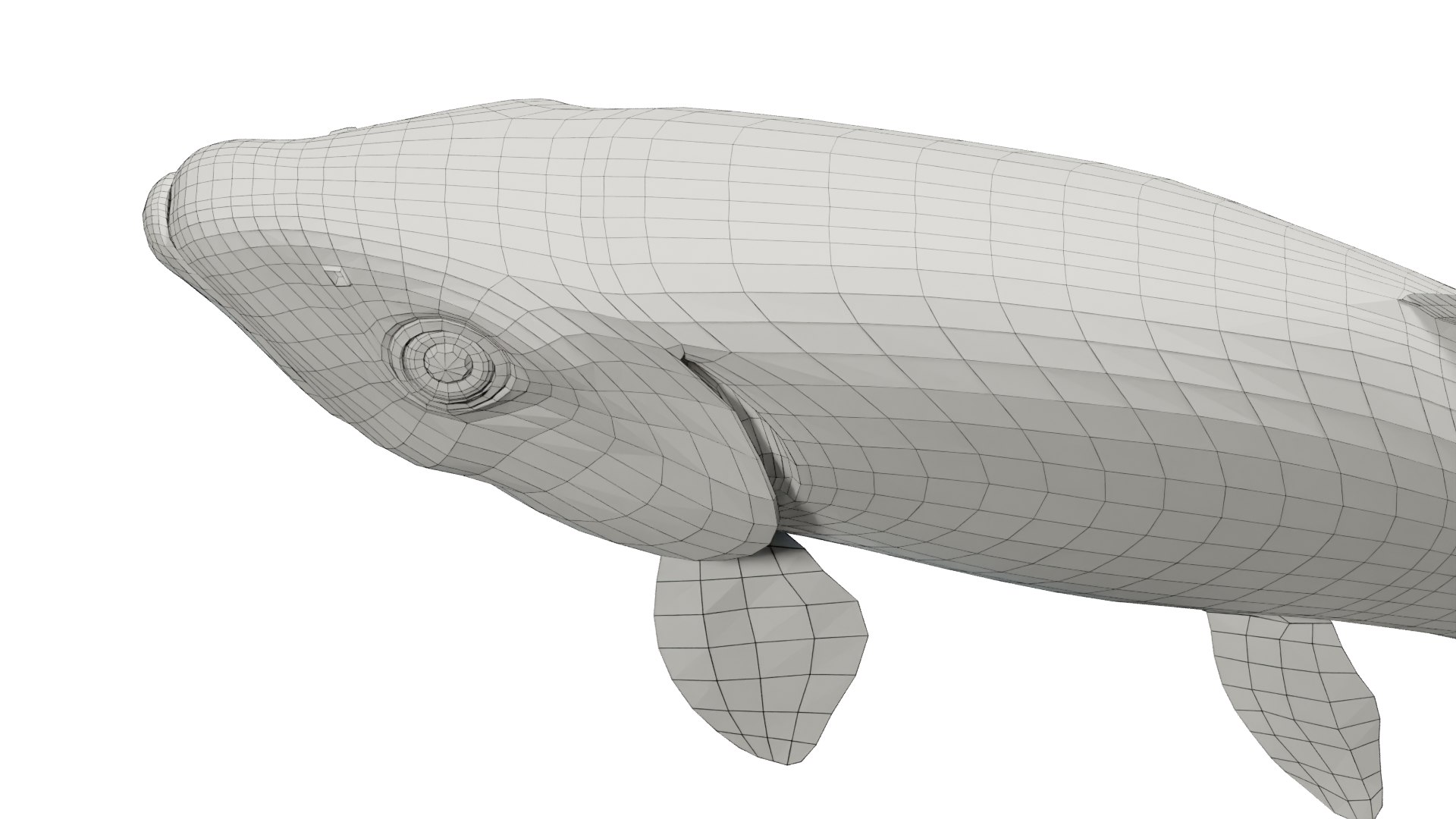 3D Brook Trout Model - TurboSquid 1929289