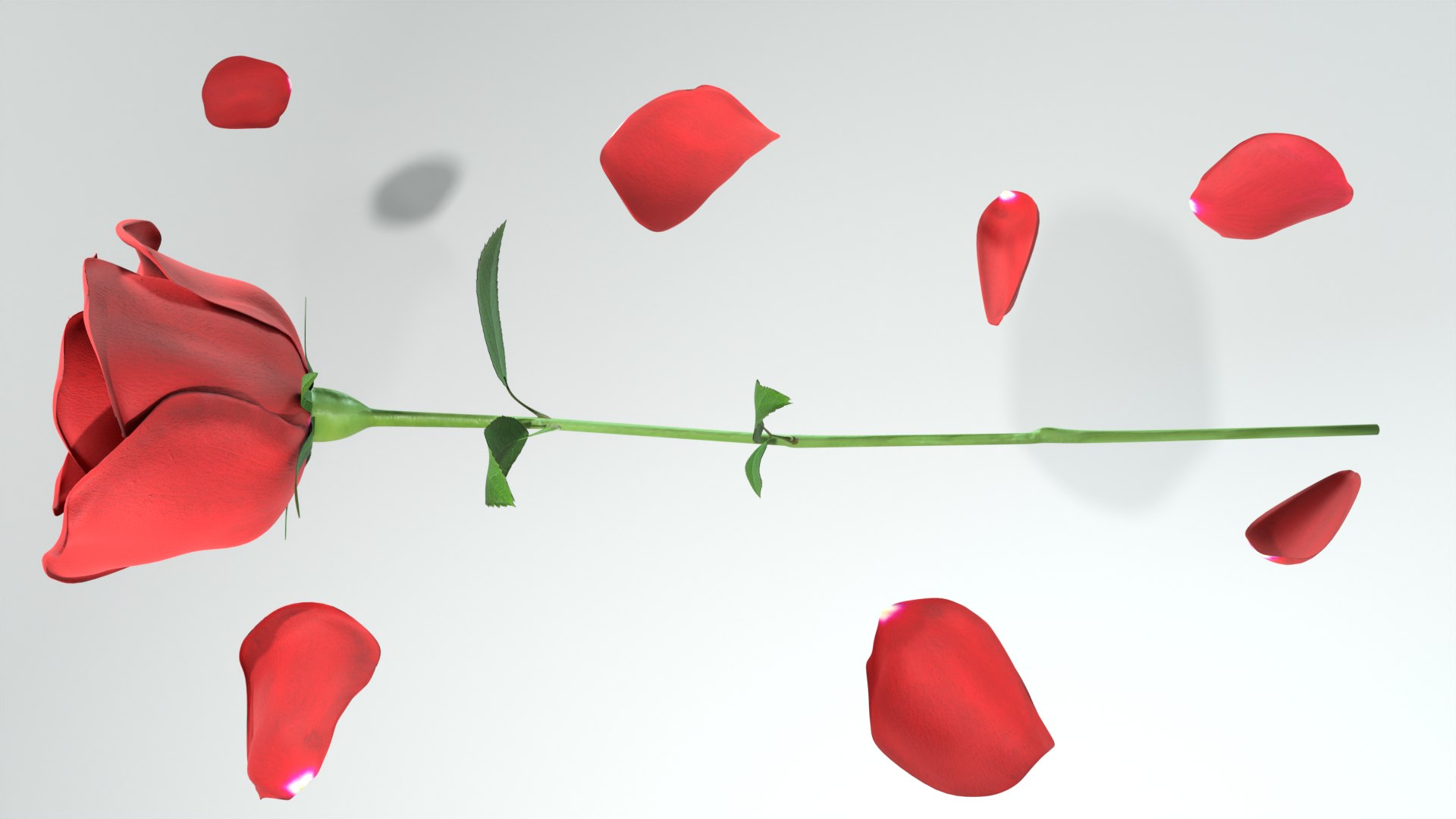 Red Rose 3D Model - TurboSquid 2043074