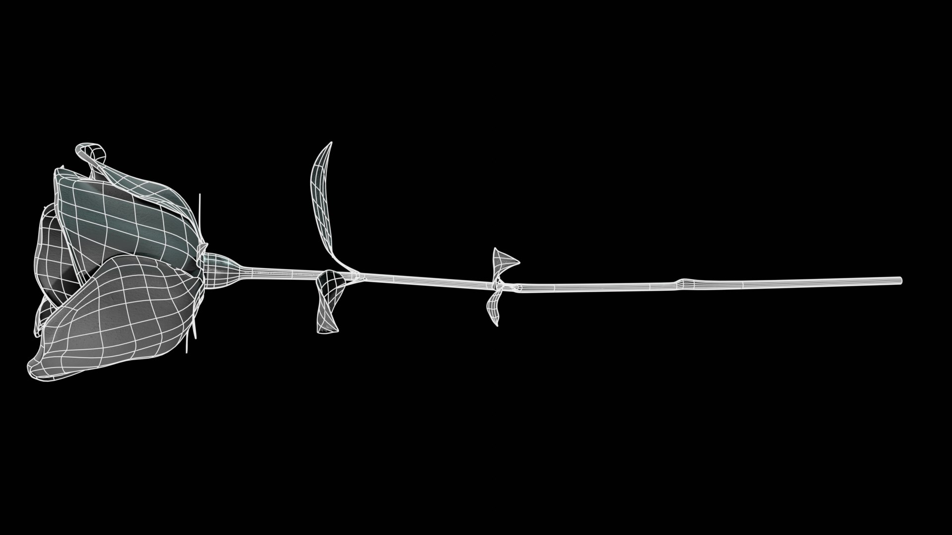 Red Rose 3D Model - TurboSquid 2043074