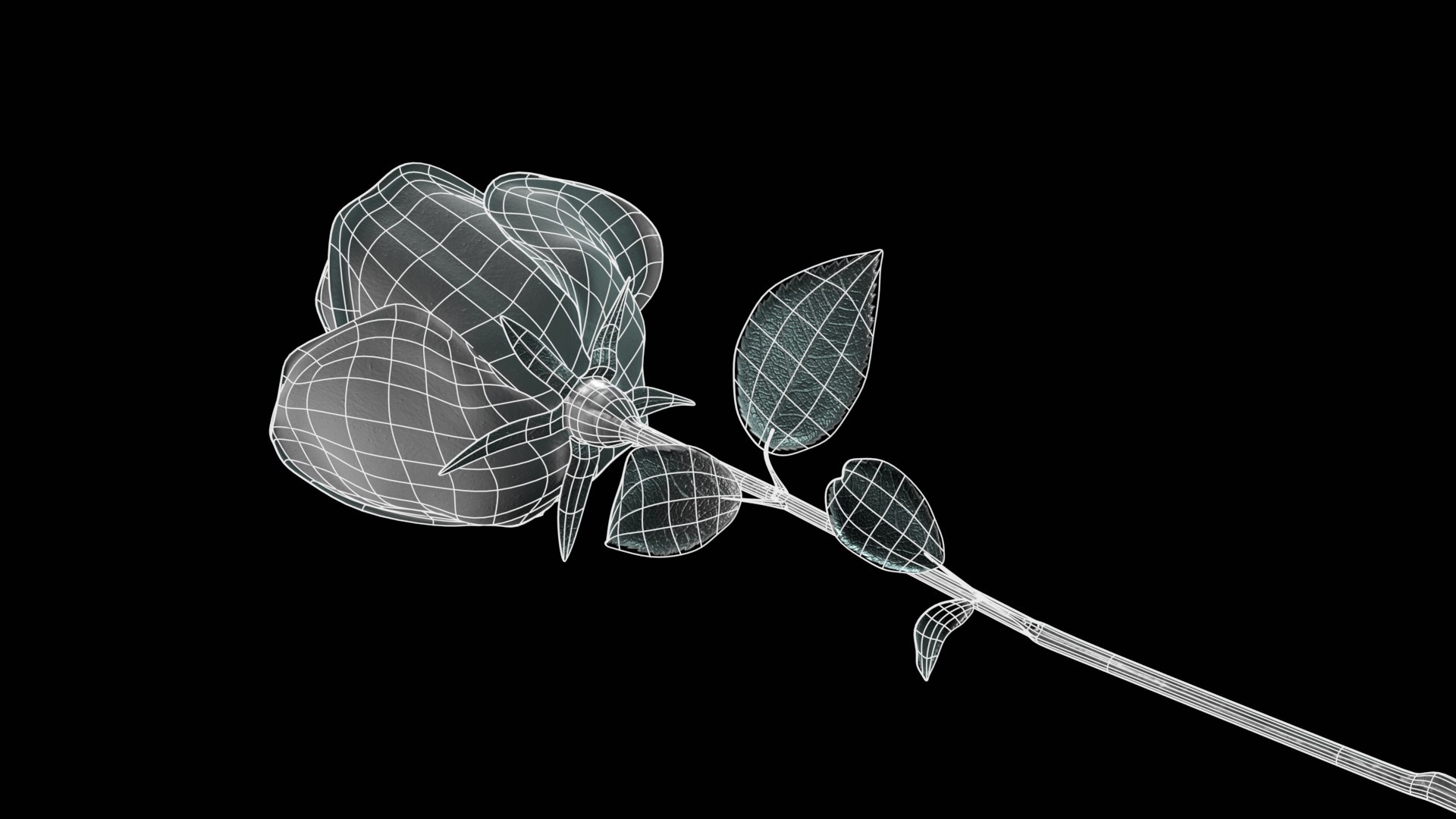 Red Rose 3D Model - TurboSquid 2043074