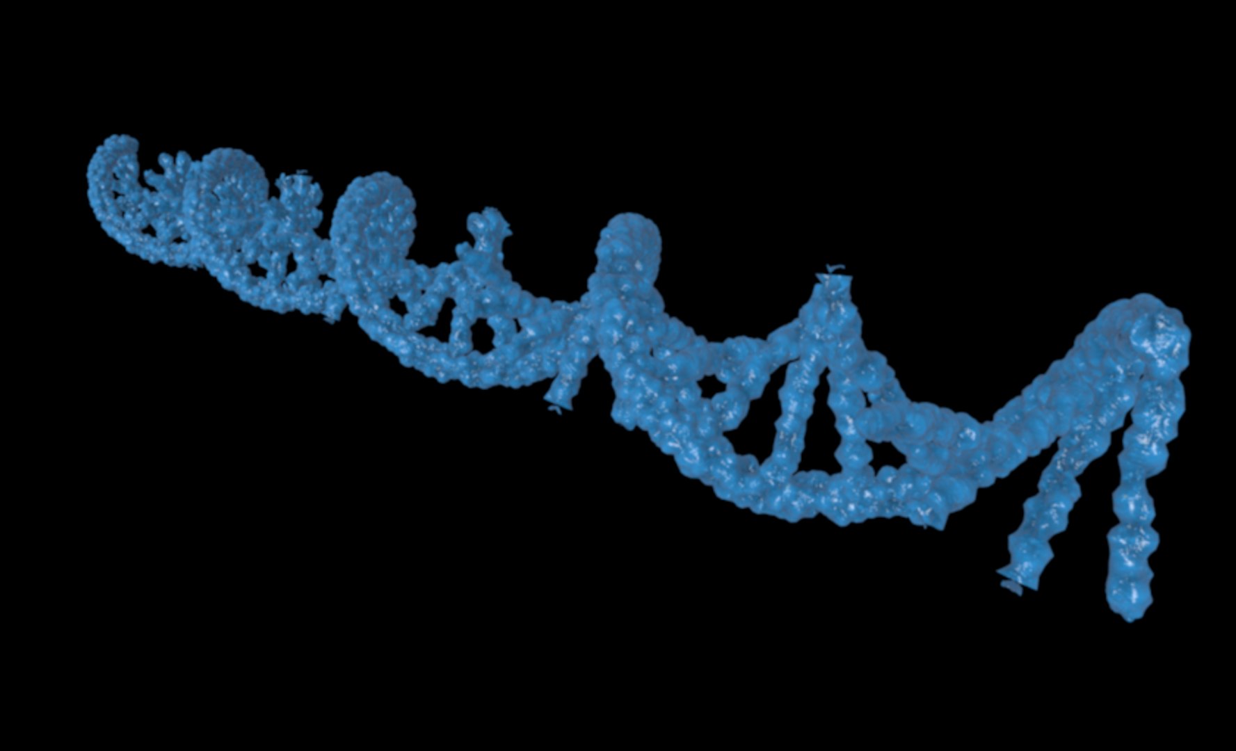 rna medical scientific 3d model