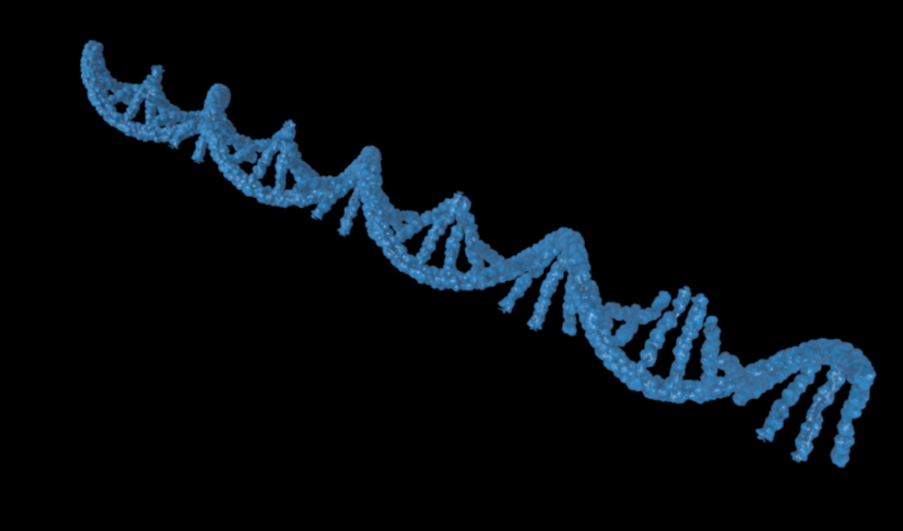 rna medical scientific 3d model