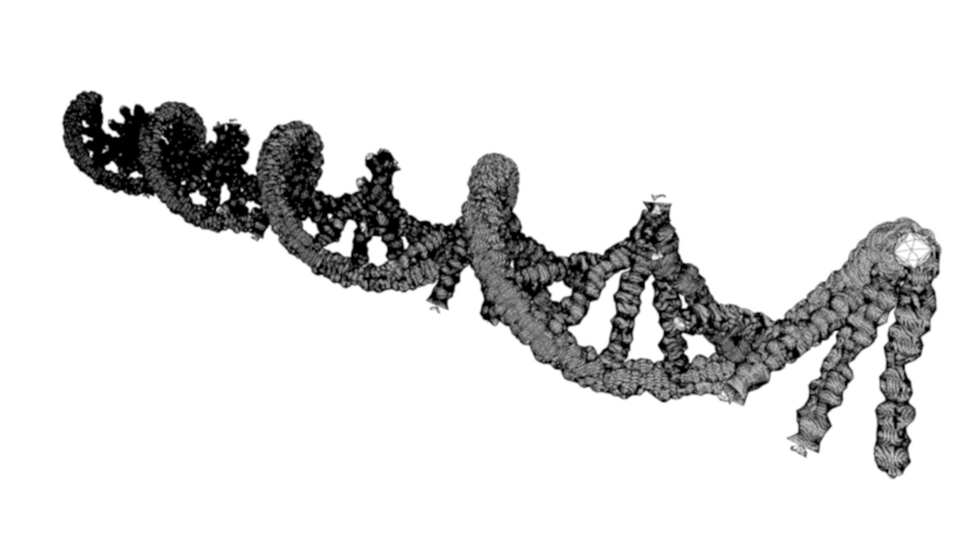 rna medical scientific 3d model