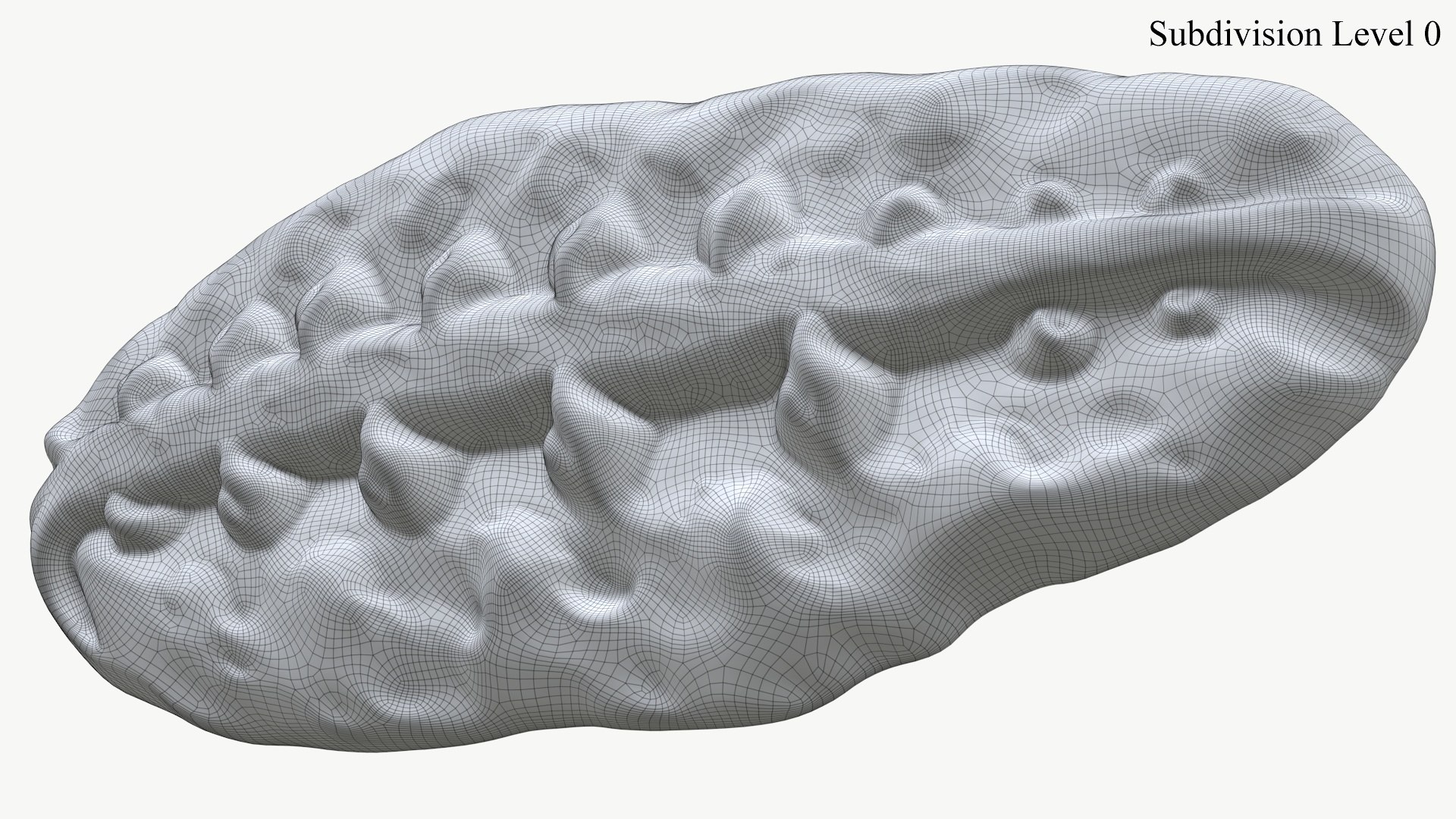 3D Ancient Fossil 2007 Textured Model - TurboSquid 2299869