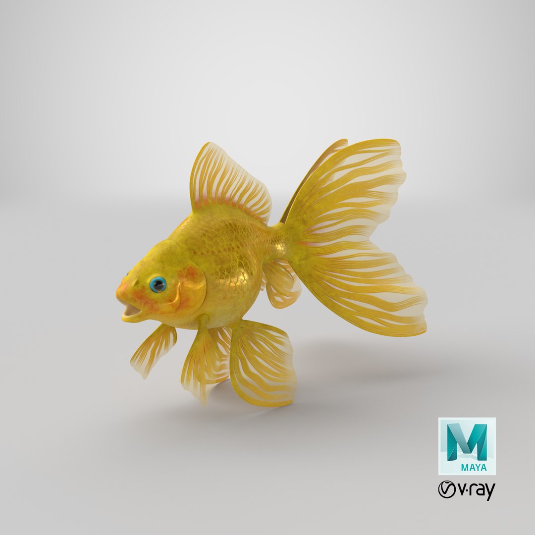 Goldfish 3D - TurboSquid 1762681