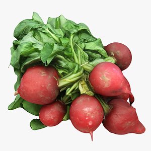 Rotten Radsih 01 3D model - TurboSquid 1906863