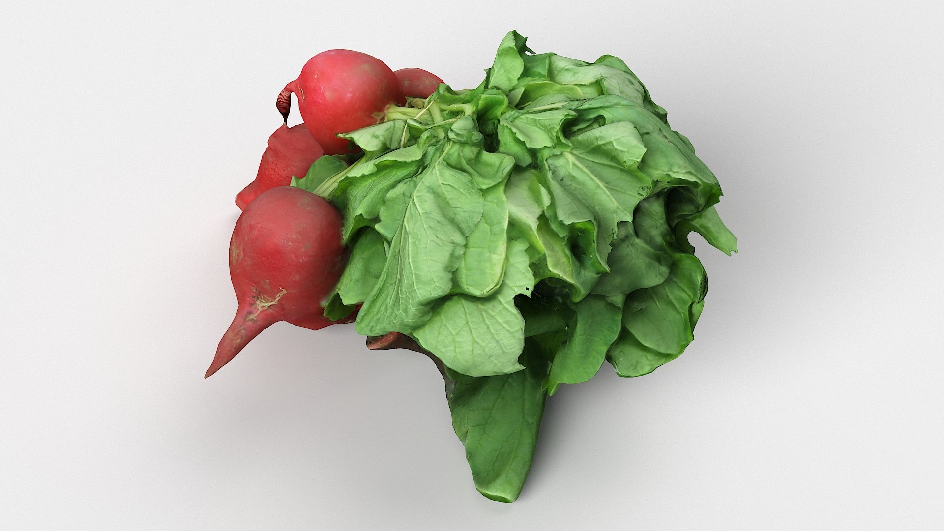 Radish Vegetables Food 3D - TurboSquid 1627724