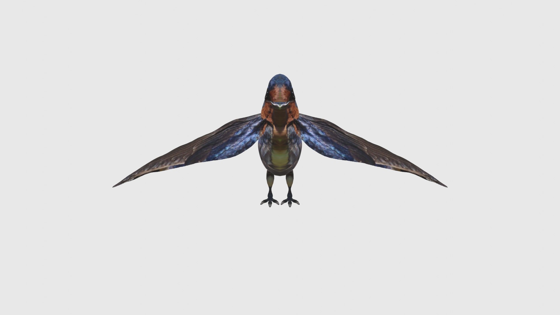 3D Low Poly Swallow Rigged With Realistic Texture model - TurboSquid ...