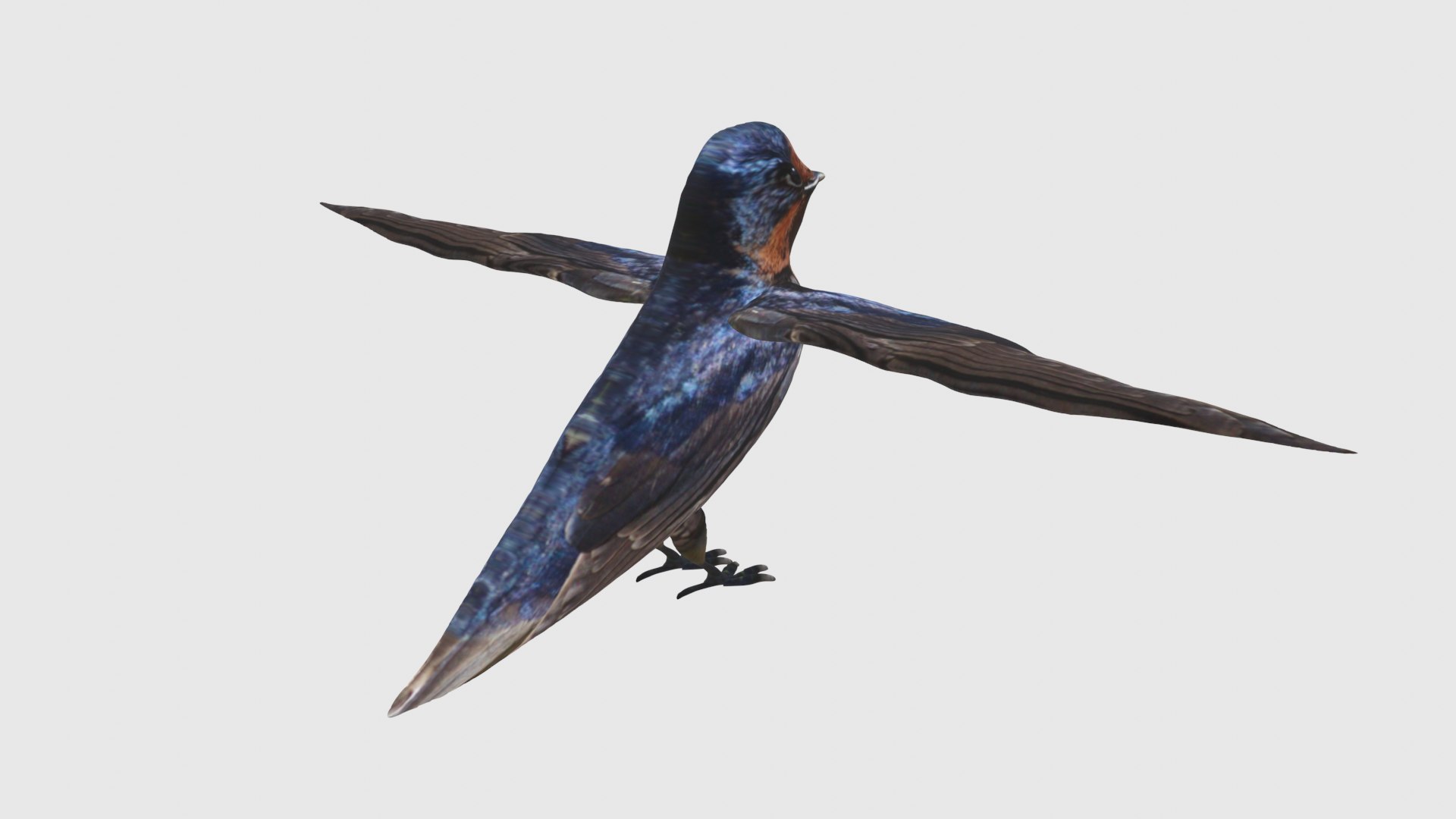 3D Low Poly Swallow Rigged With Realistic Texture model - TurboSquid ...