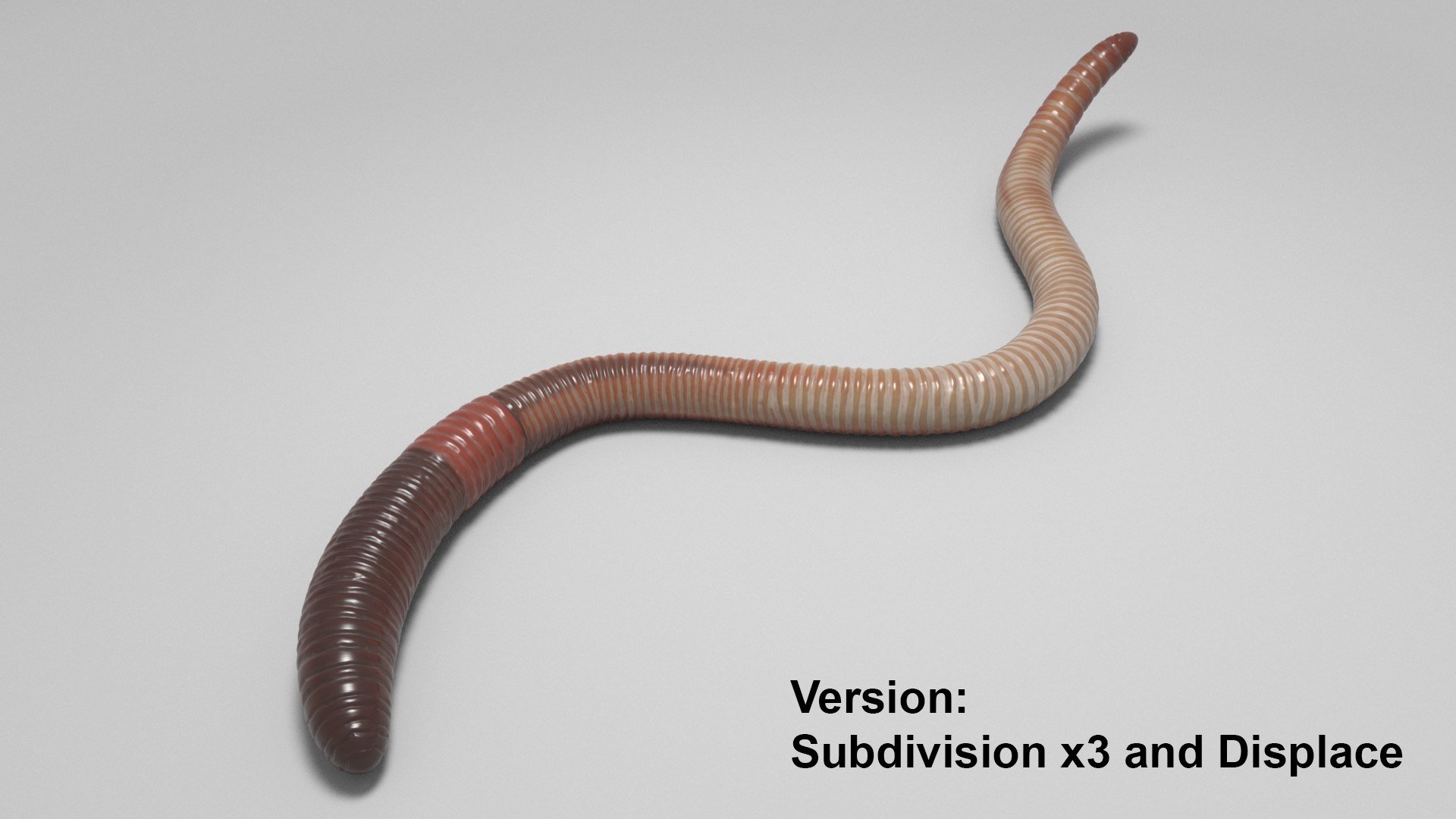 Tigerworm 3D - TurboSquid 1986373