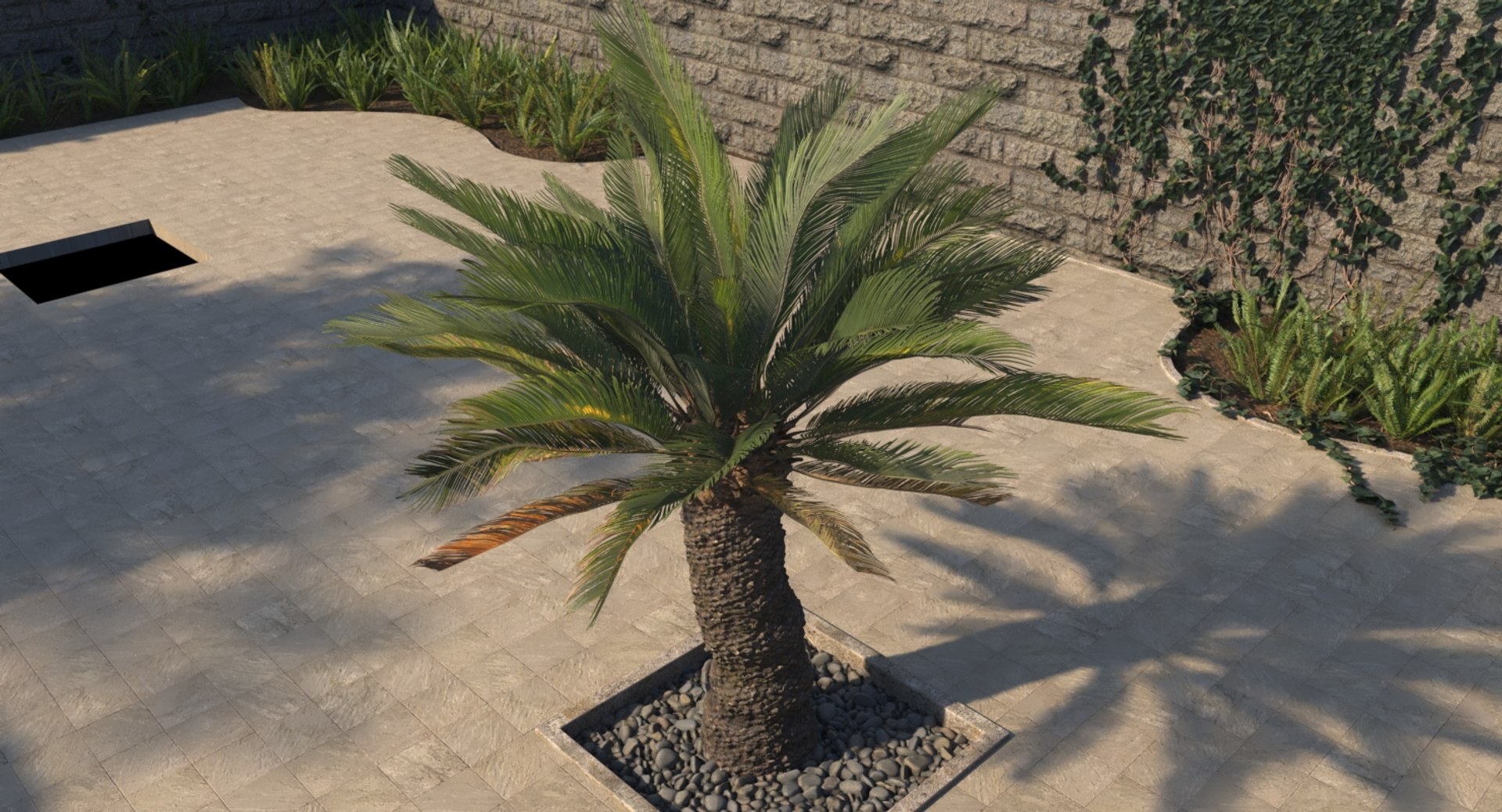 3D Tree Cycad Brood Boom Model - TurboSquid 1387092