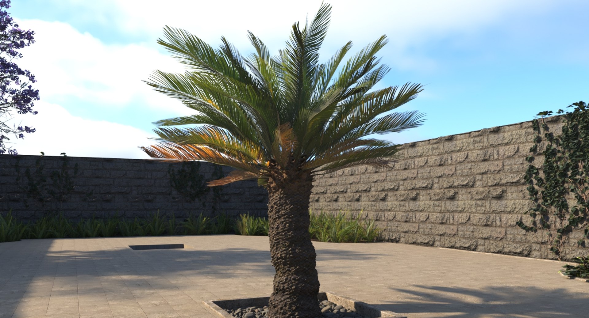 3D Tree Cycad Brood Boom Model - TurboSquid 1387092