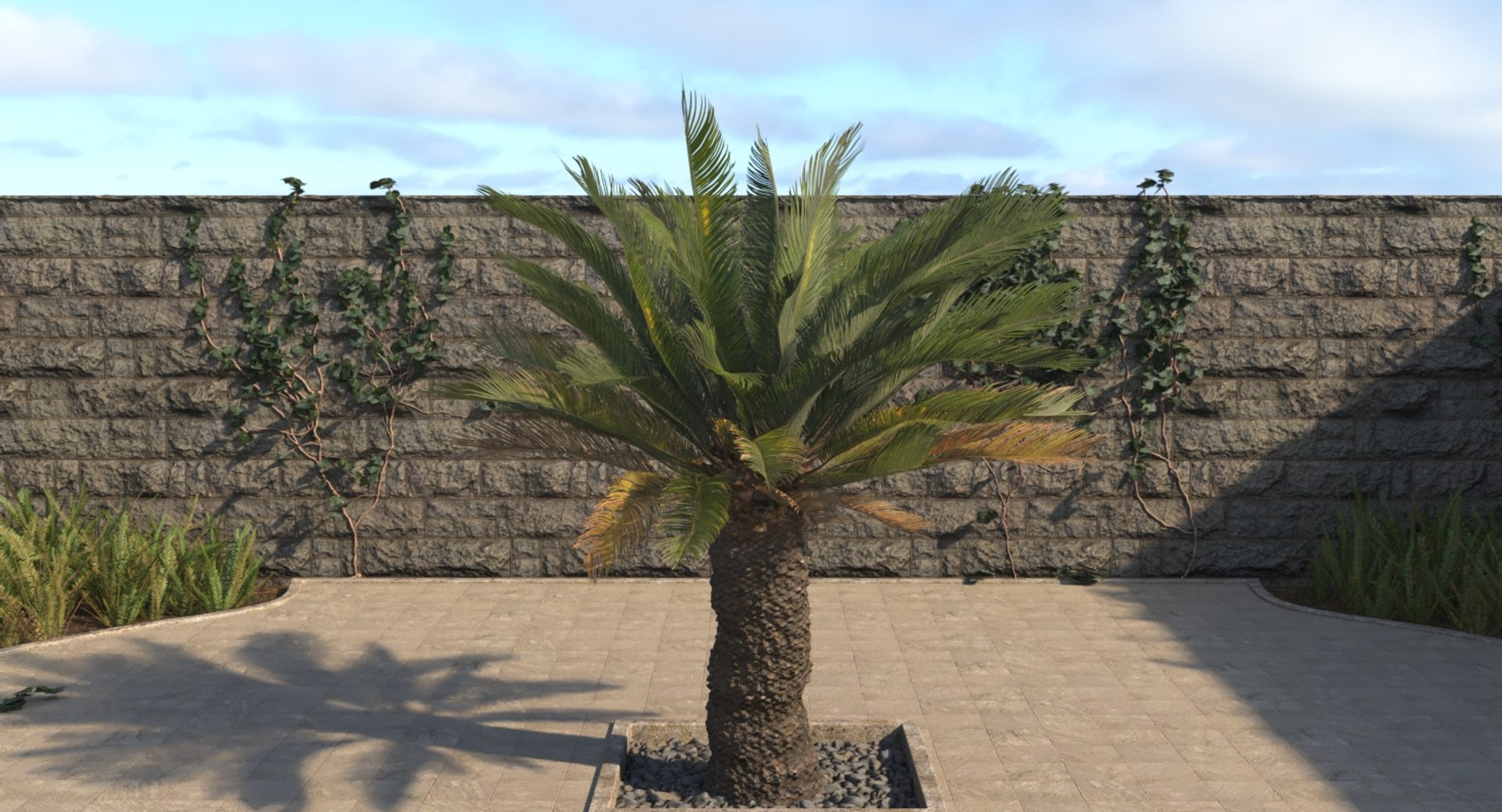 3D Tree Cycad Brood Boom Model - TurboSquid 1387092