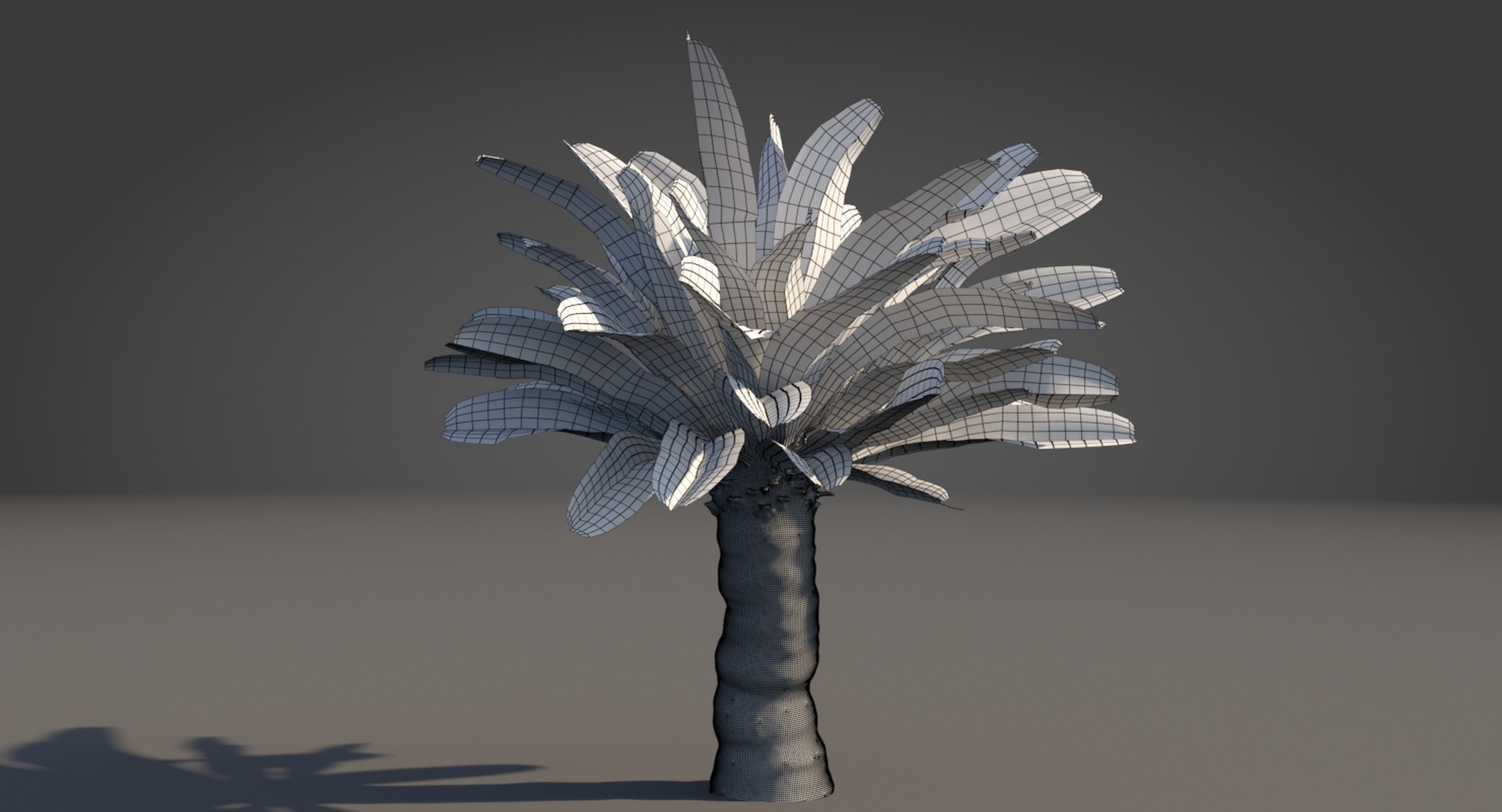 3D Tree Cycad Brood Boom Model - TurboSquid 1387092