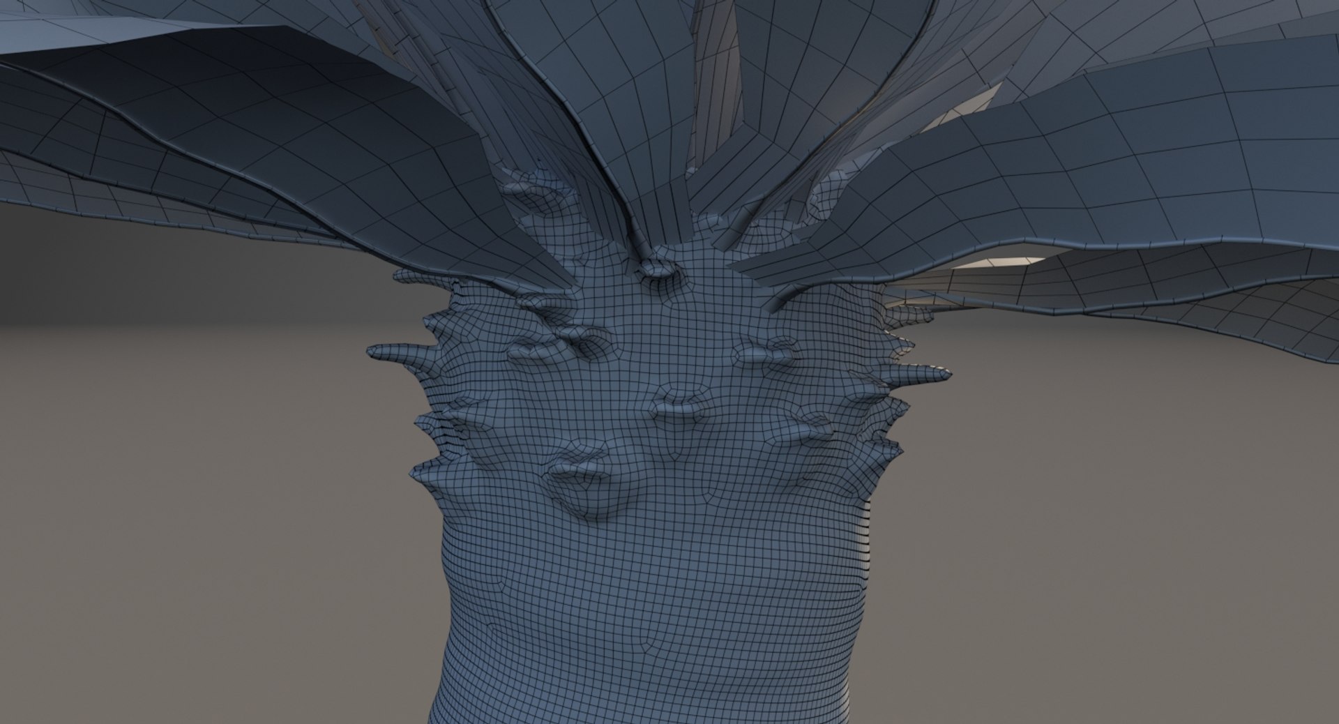 3D Tree Cycad Brood Boom Model - TurboSquid 1387092