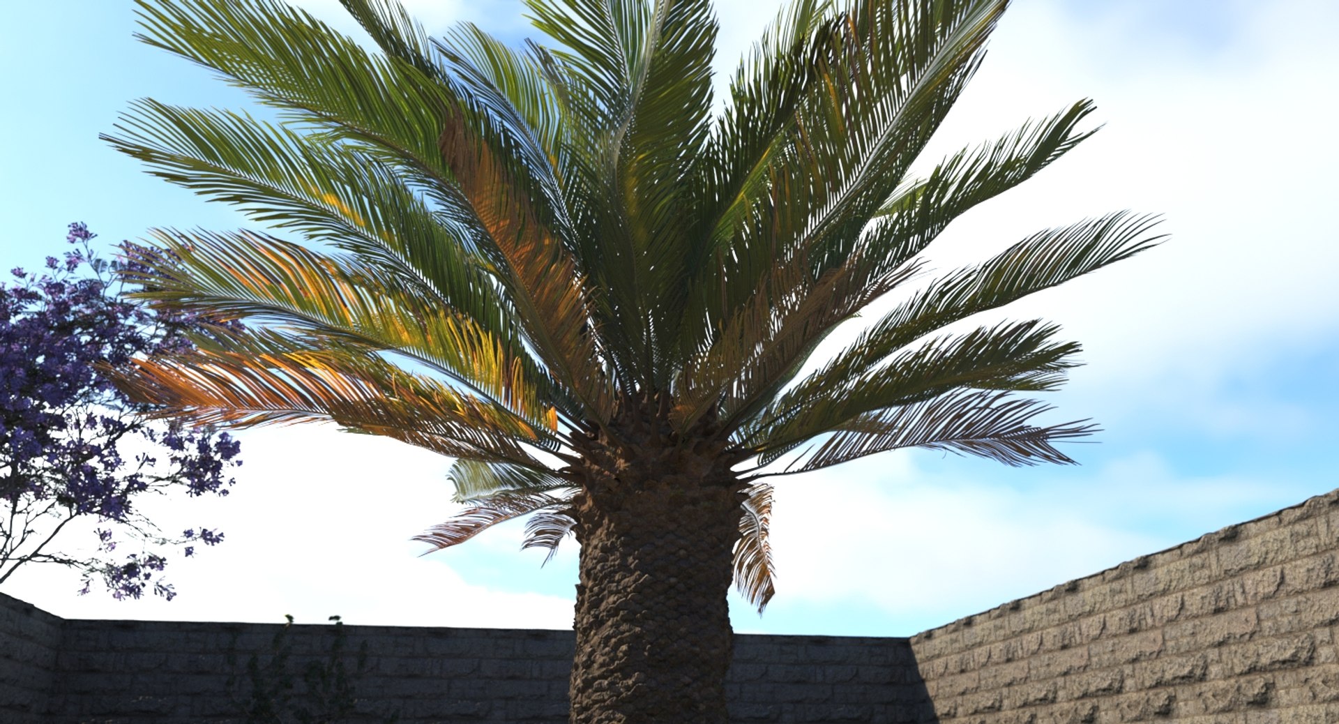 3D Tree Cycad Brood Boom Model - TurboSquid 1387092