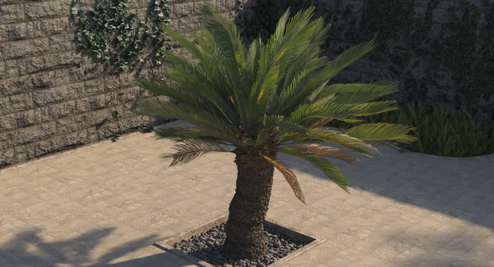 3D Tree Cycad Brood Boom Model - TurboSquid 1387092