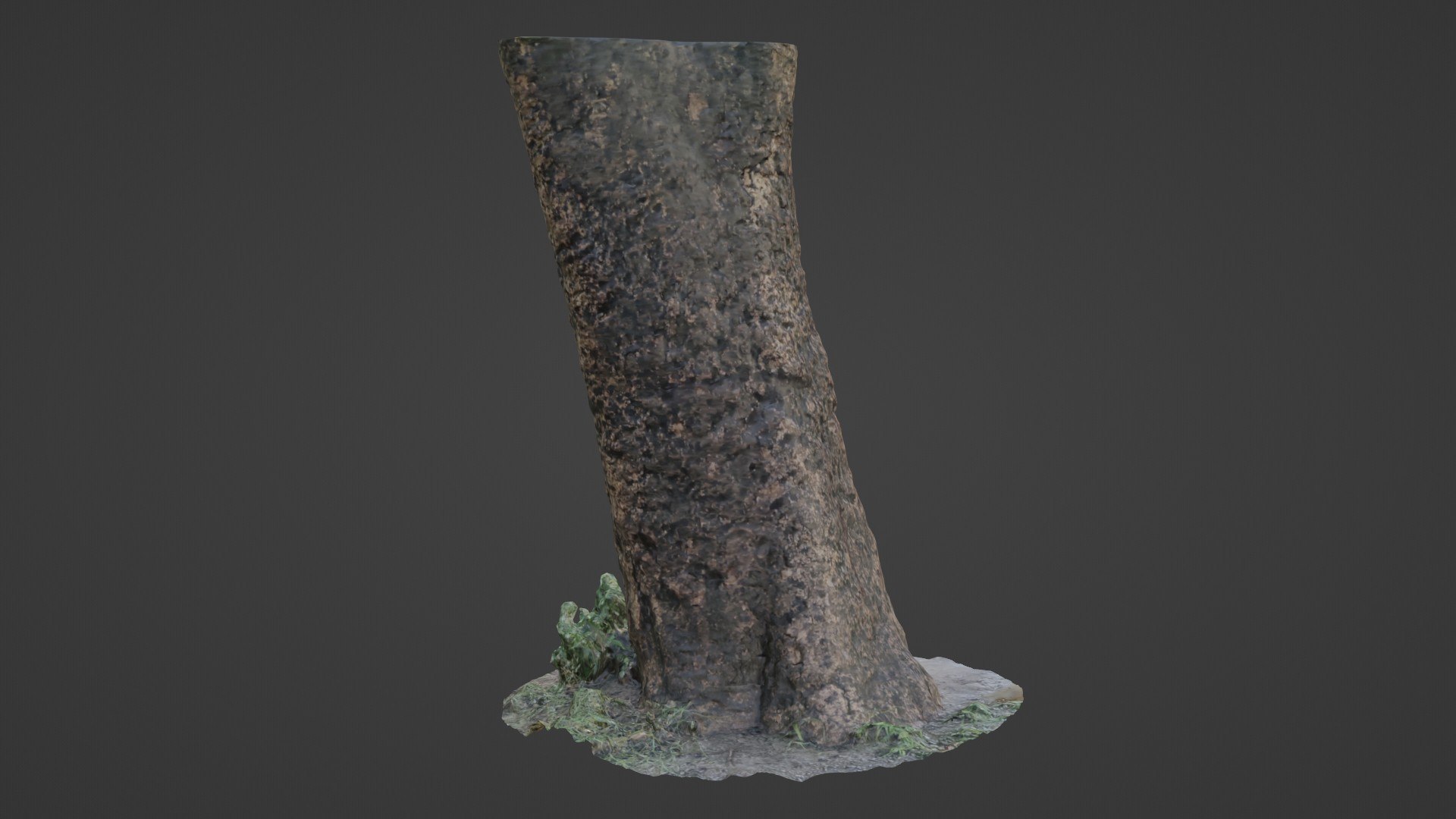 3D Model Scratched Tree Trunk - TurboSquid 2329750