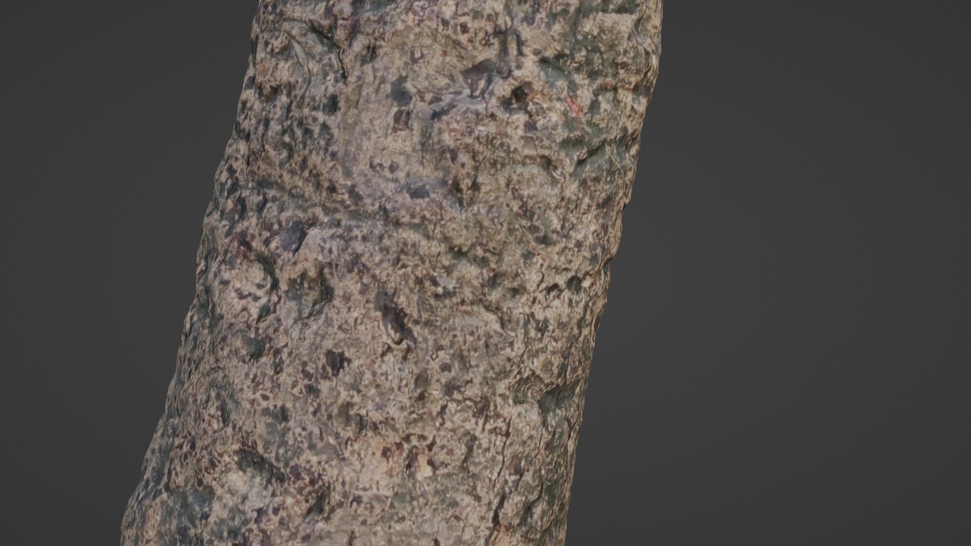 3D Model Scratched Tree Trunk - TurboSquid 2329750