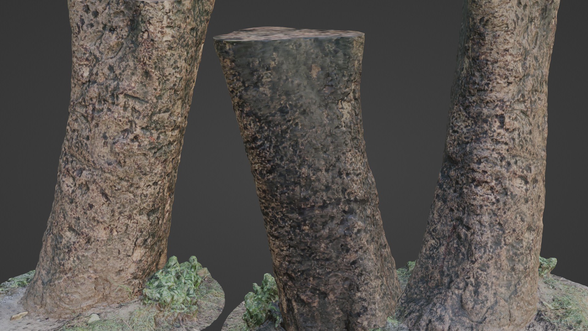 3D Model Scratched Tree Trunk - TurboSquid 2329750