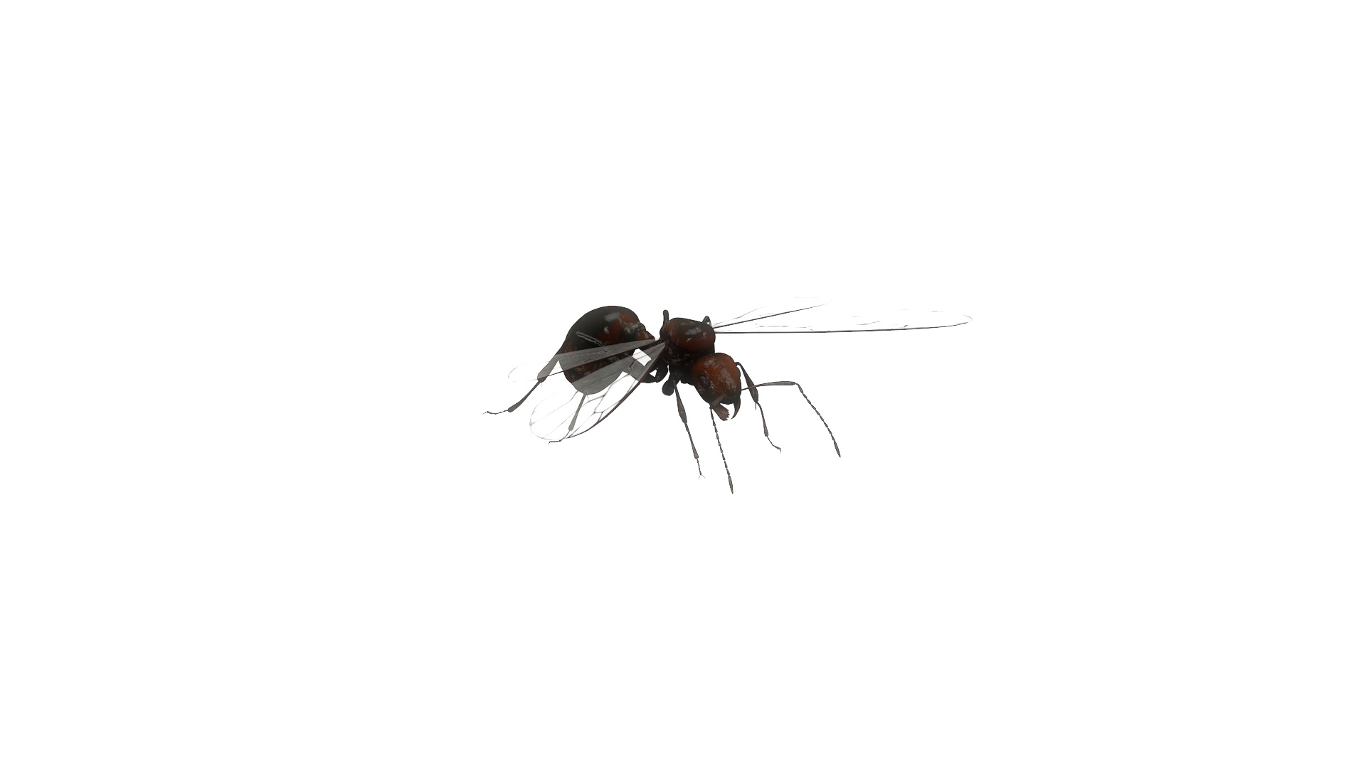 Ant Model - TurboSquid 2401842