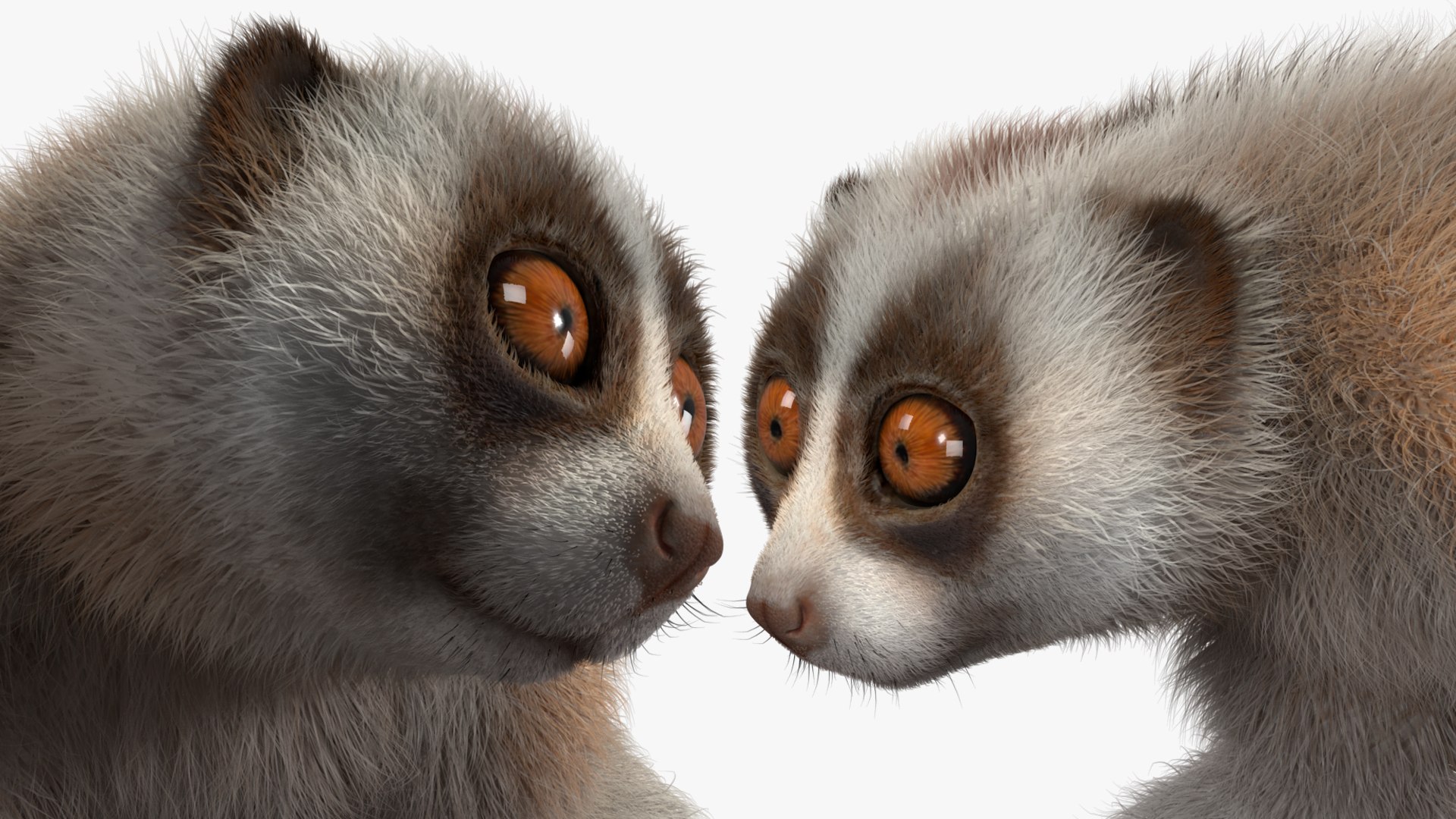 3D Model Philippine Slow Loris Fur - TurboSquid 2144585